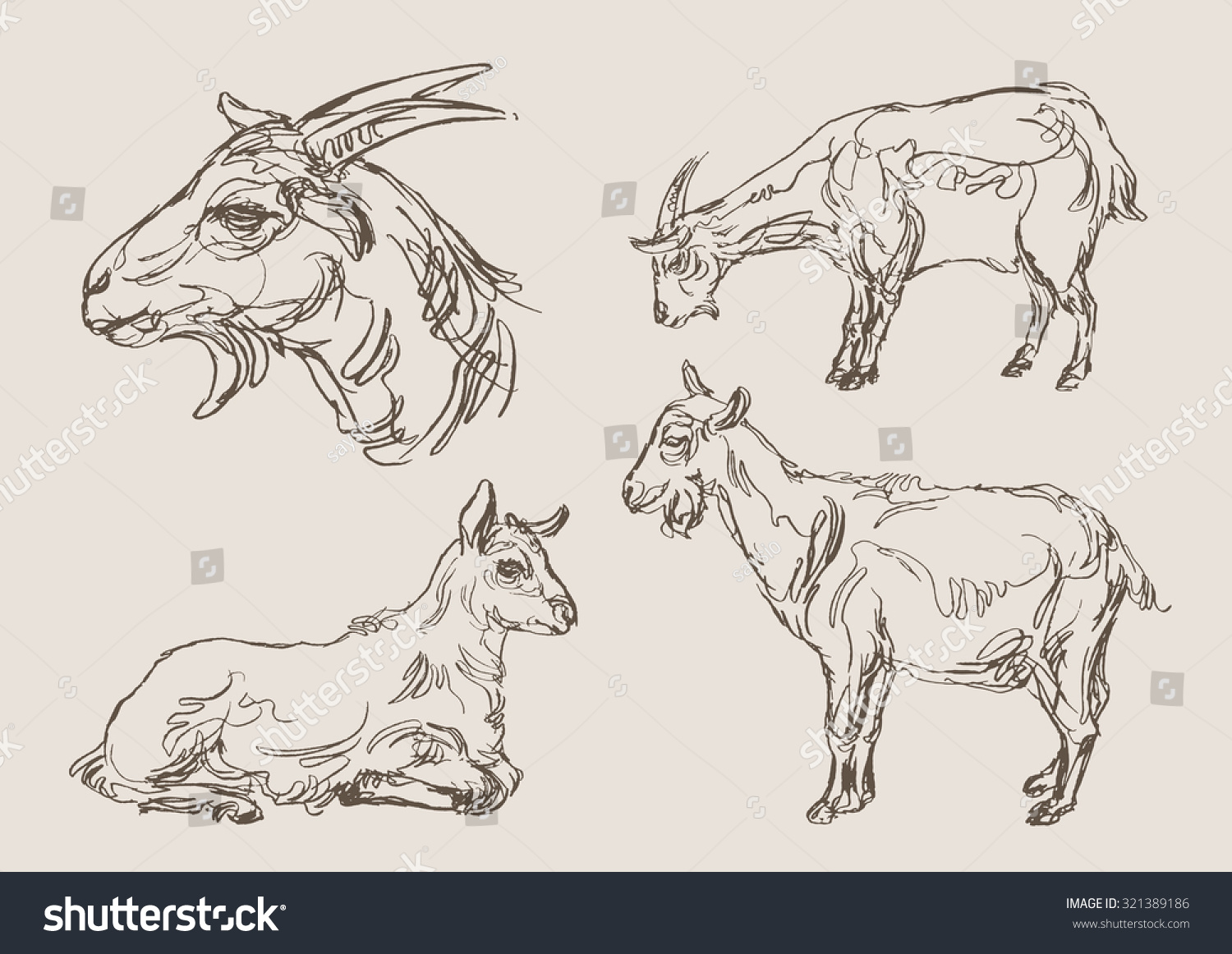 Goats Hand Draw Sketch Vector Stock Vector (Royalty Free) 321389186