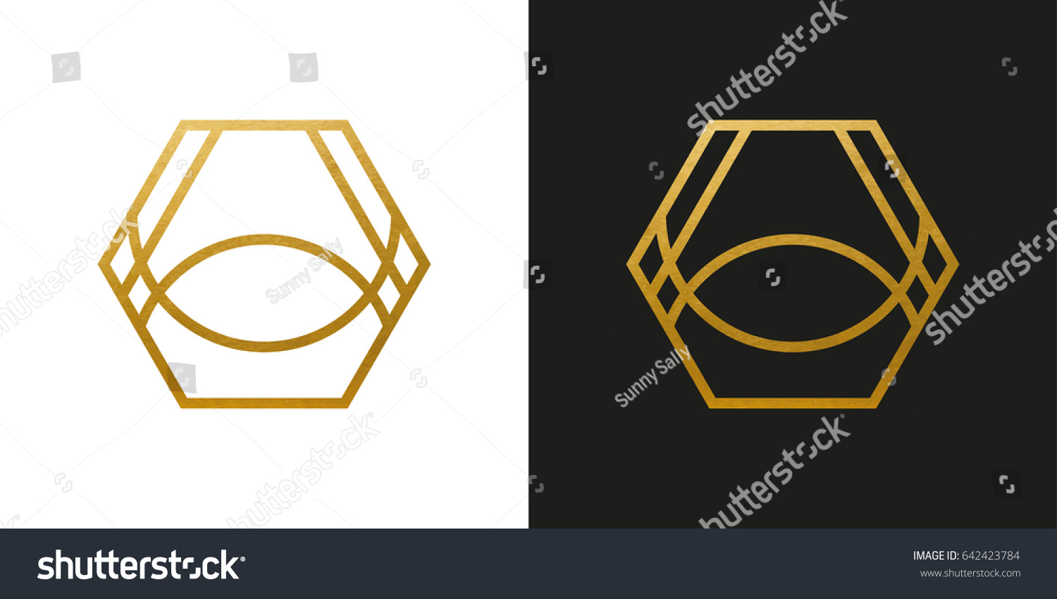 Golden Geometric Hexagon Logo Shape Vector Stock Vector (Royalty Free ...