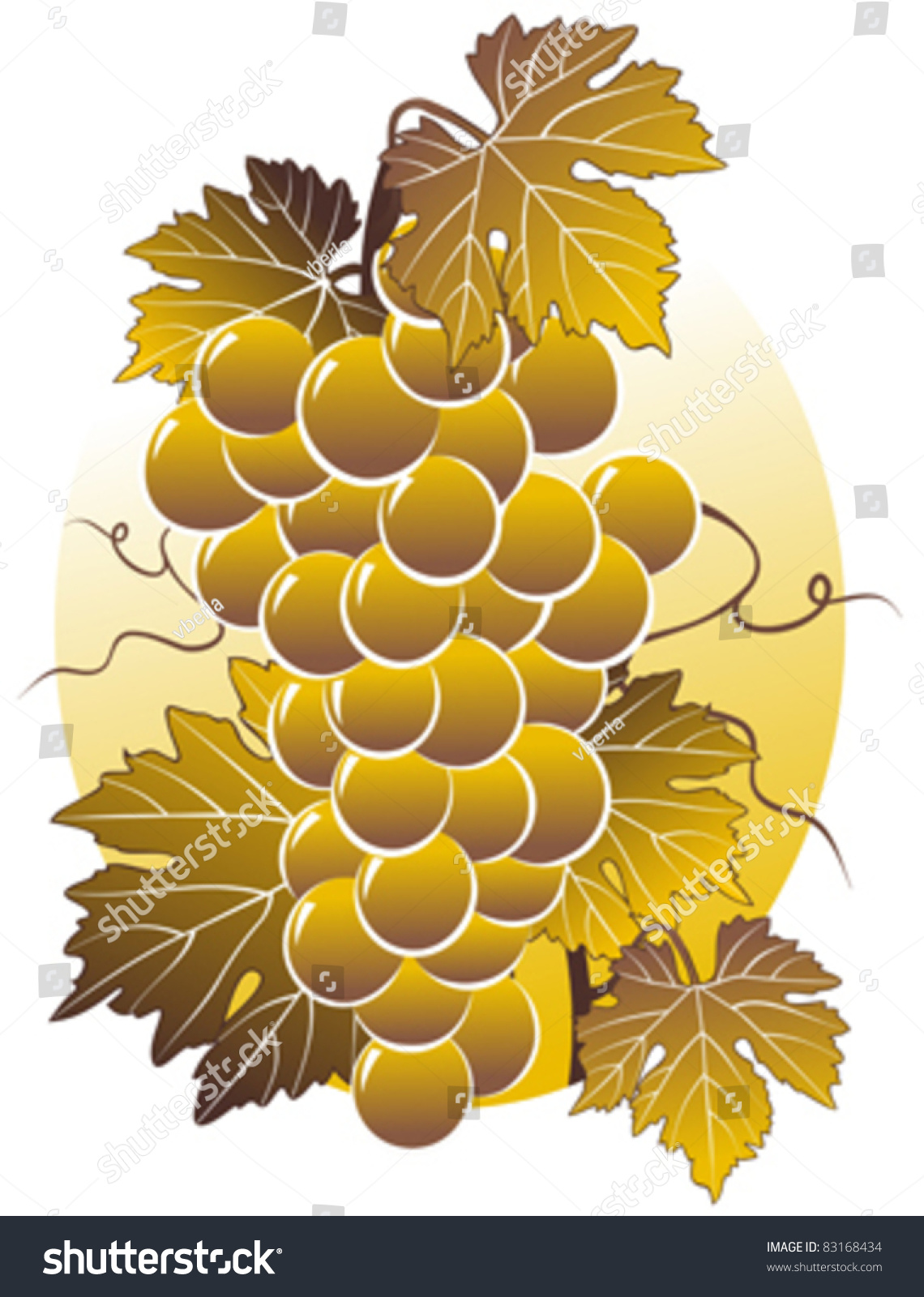 Golden Grape Stock Vector 83168434 - Shutterstock