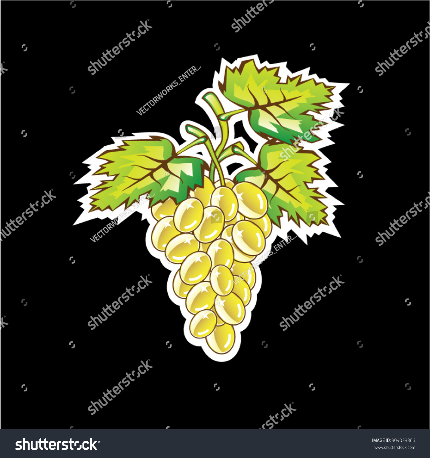Golden Grapes Vector Art Stock Vector (Royalty Free) 309038366 ...