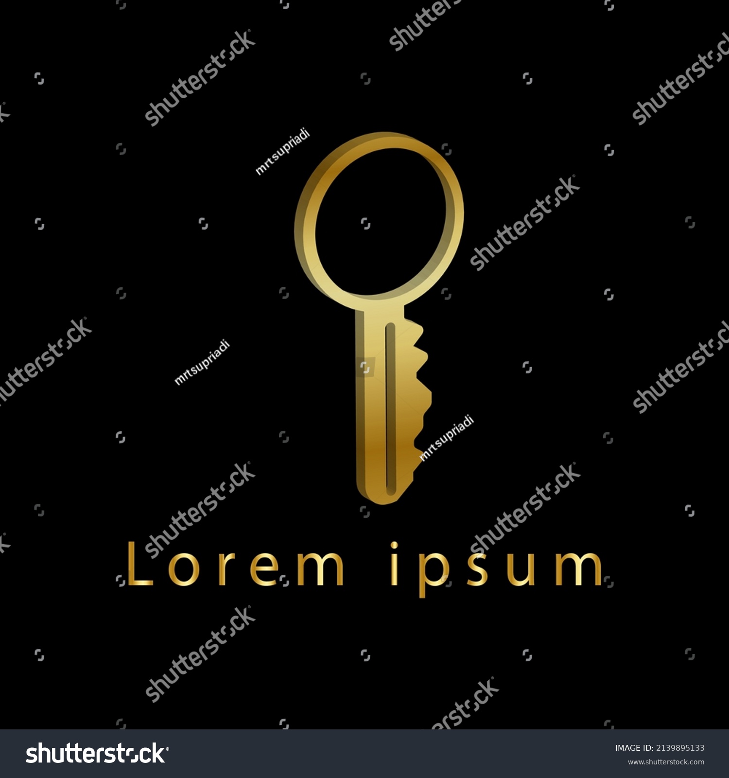 Golden Key Logo Template Design Vector Stock Vector (Royalty Free ...