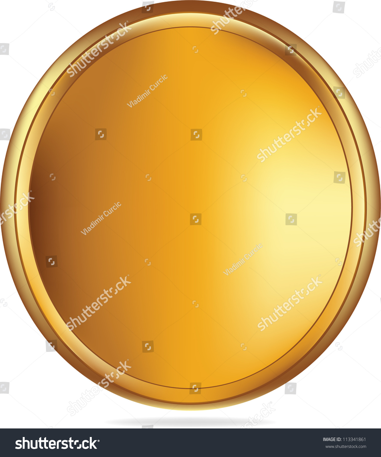 Golden Oval Frame Stock Vector (Royalty Free) 113341861 | Shutterstock