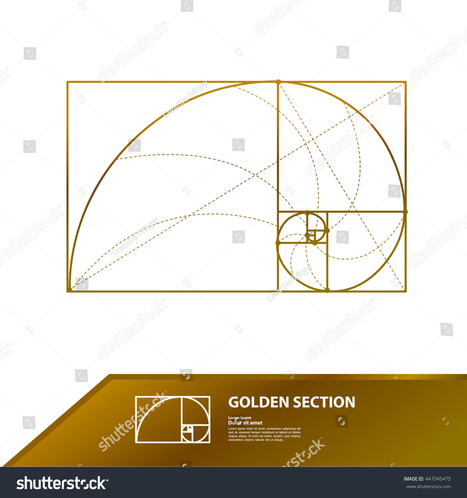 Golden Ratio Vector: เวกเตอร์สต็อก (ปลอดค่าลิขสิทธิ์) 447045475 ...