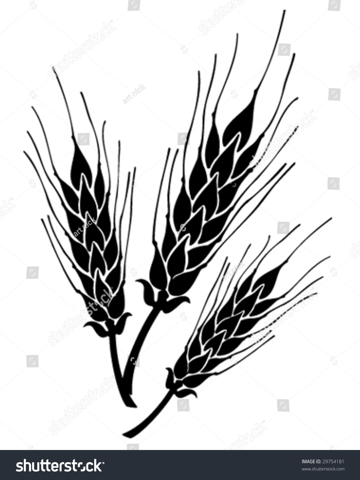 Grain Vector