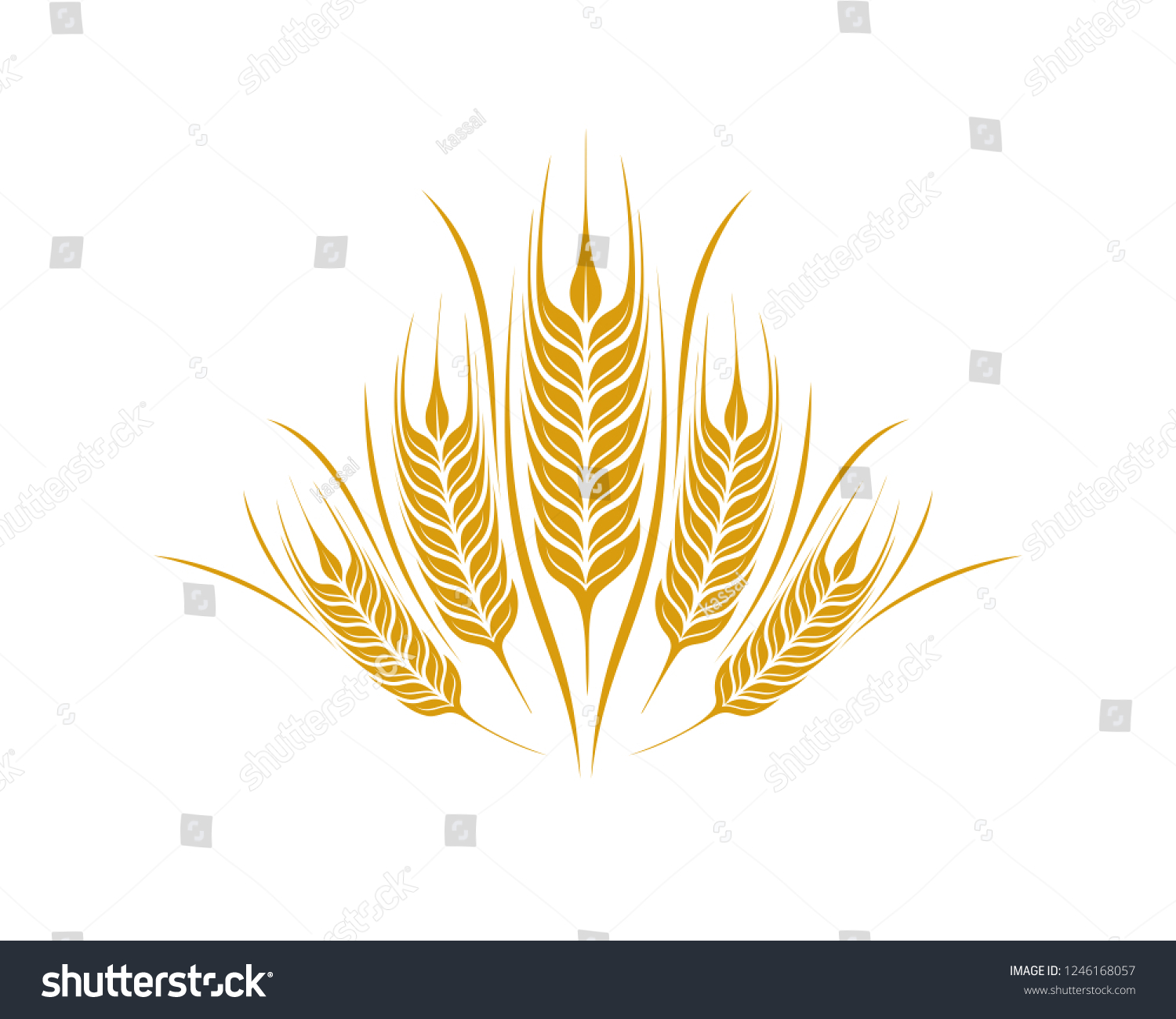 Grain Vector Illustration On White Background: เวกเตอร์สต็อก (ปลอดค่า ...