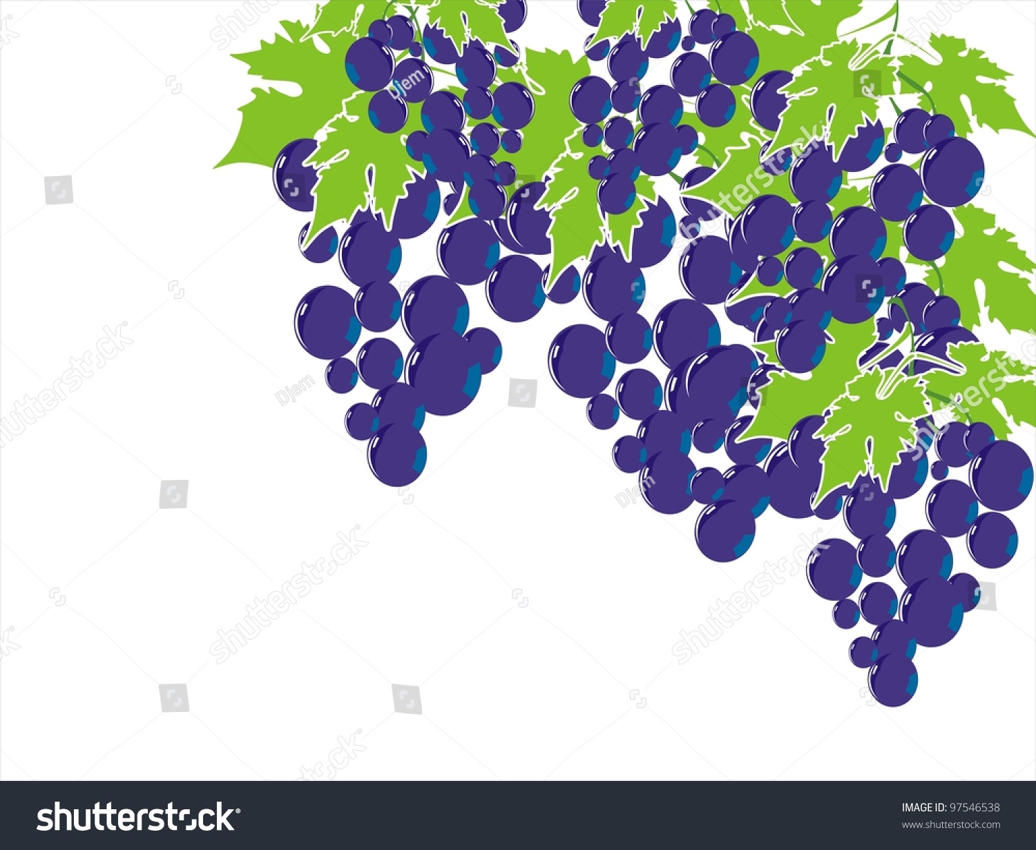Grape Cluster Isolated On White Vector Stock Vector (Royalty Free ...