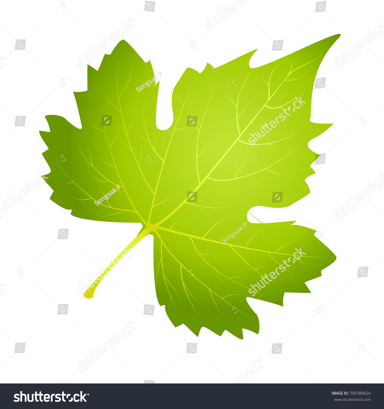 Grape Leaf On White Background Vector Stok Vektör (Telifsiz) 709789654 ...