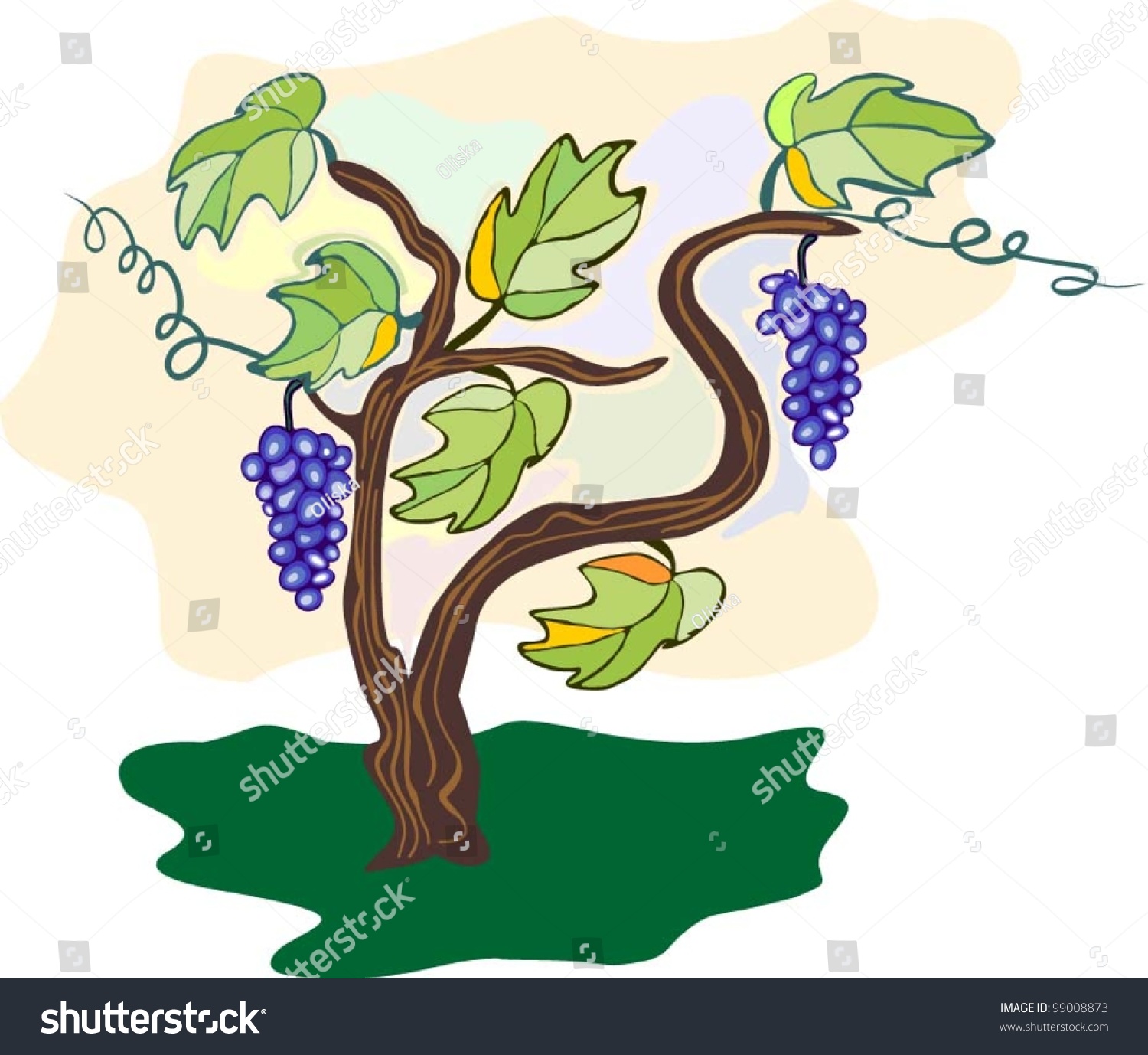 Grape Vine Stock Vector (Royalty Free) 99008873 - Shutterstock Grape Vine Stock Vector (Royalty Free) 99008873 - Shutterstock