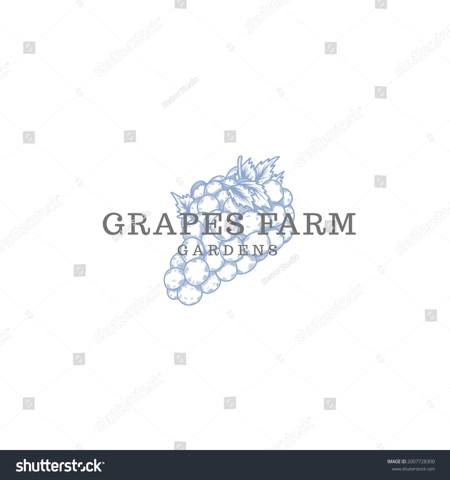 Grapes Fruit Farm Store Logo Stock Vector (Royalty Free) 2007728300 ...