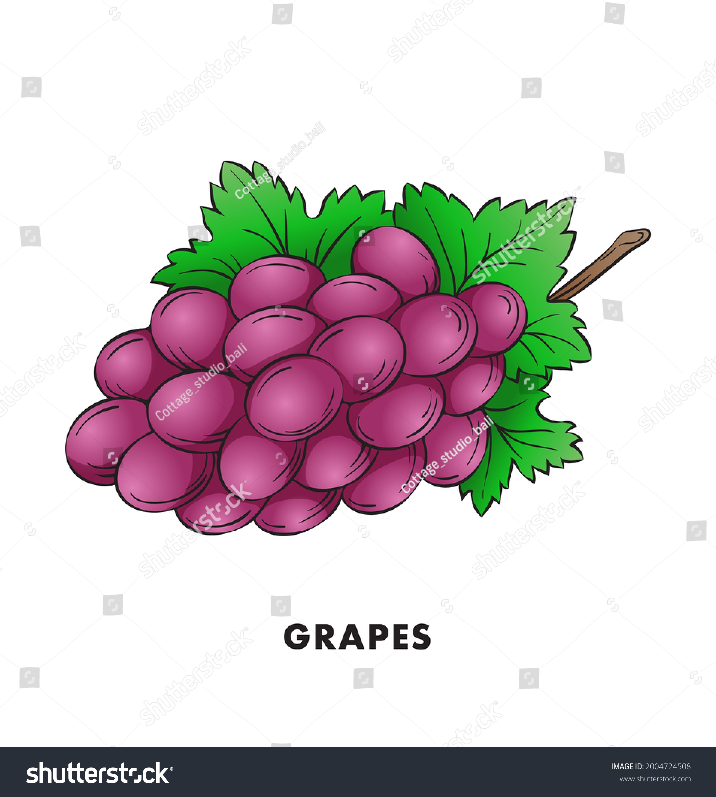 Grapes Illustration Clipart Vector Design Stock Vector (Royalty Free ...