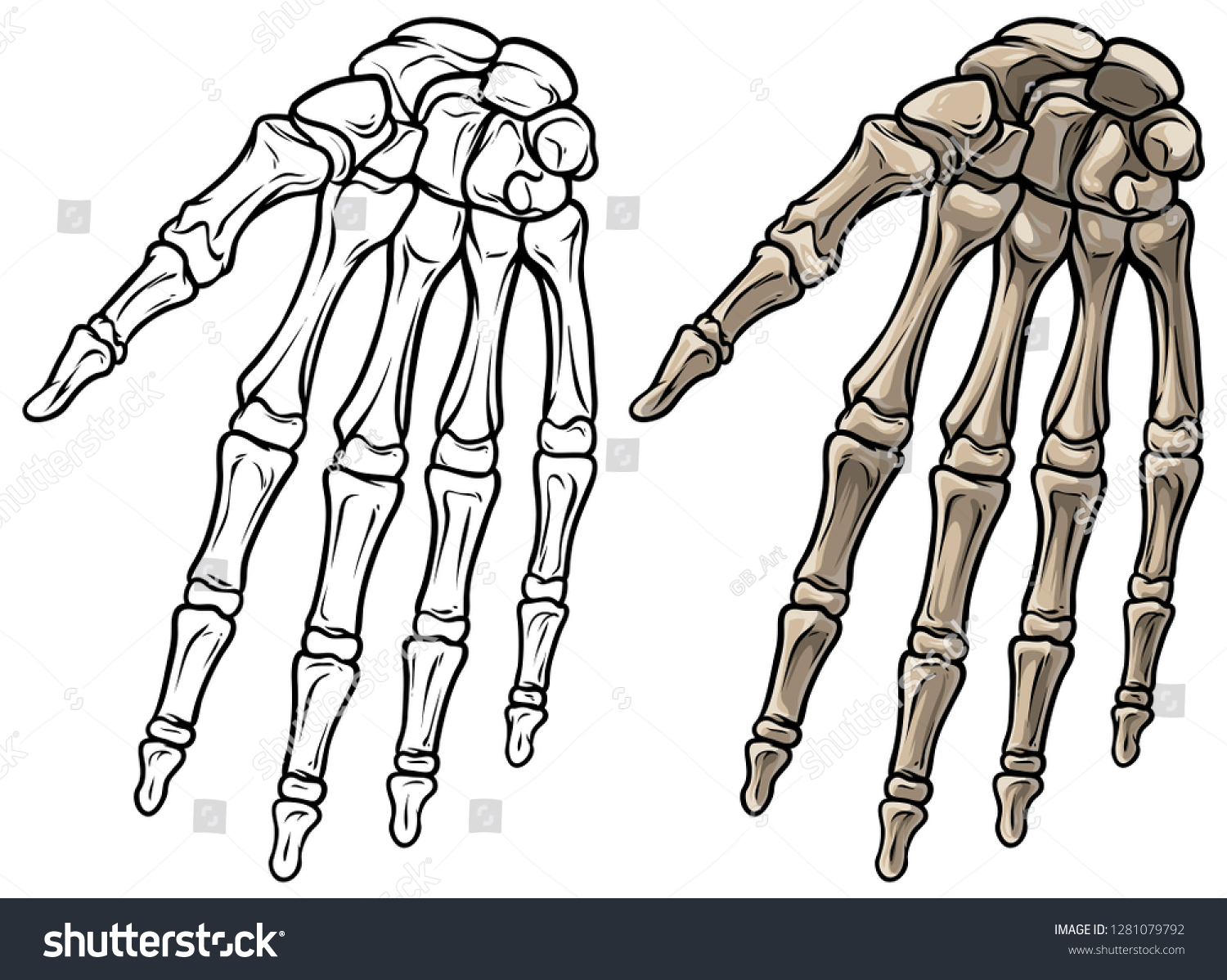 Graphic Detailed Black White Human Skeleton Stock Vector Royalty Free 1281079792 Shutterstock