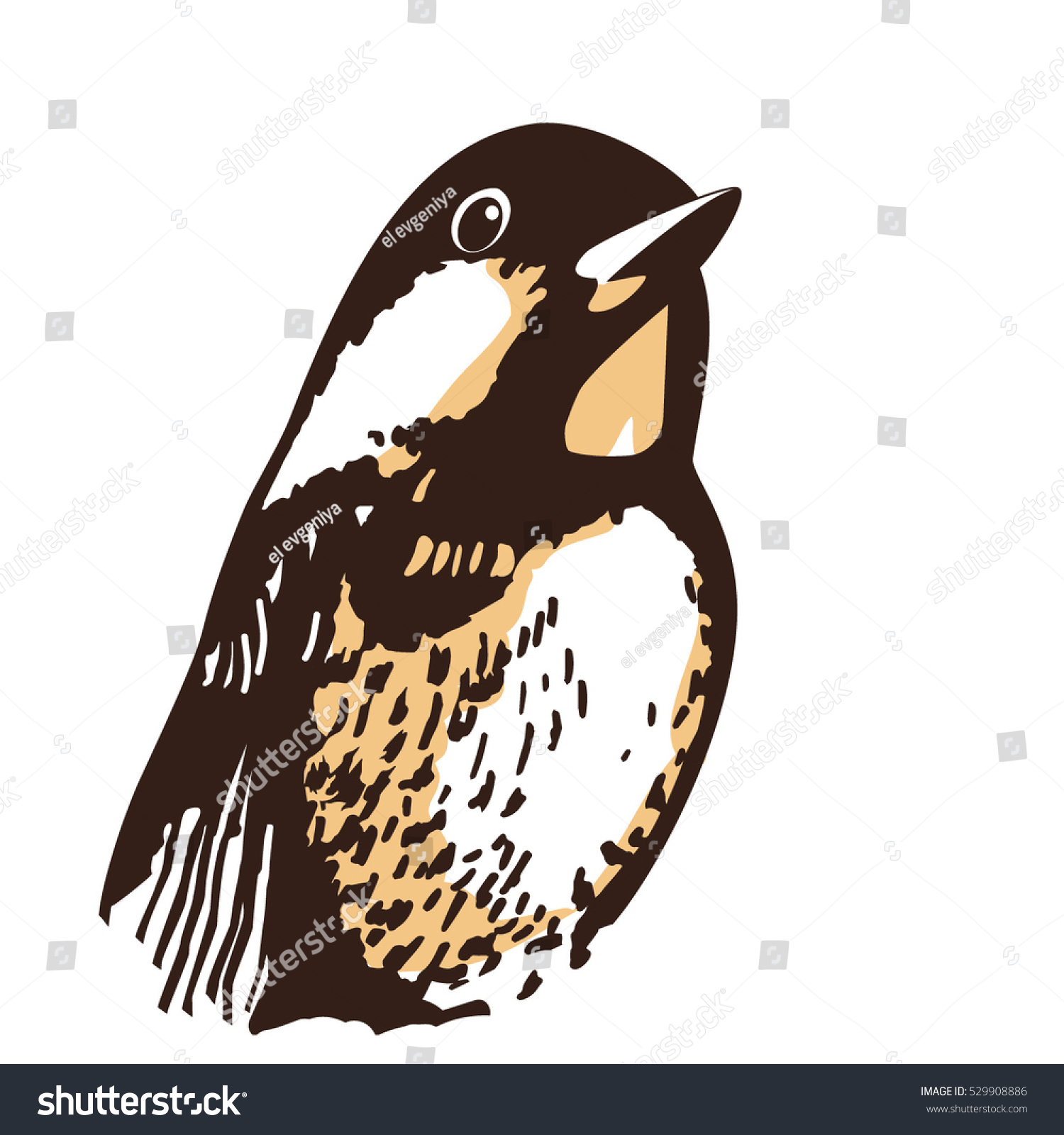 Graphic Drawing Sitting Bird Vector Stock Vector (Royalty Free ...