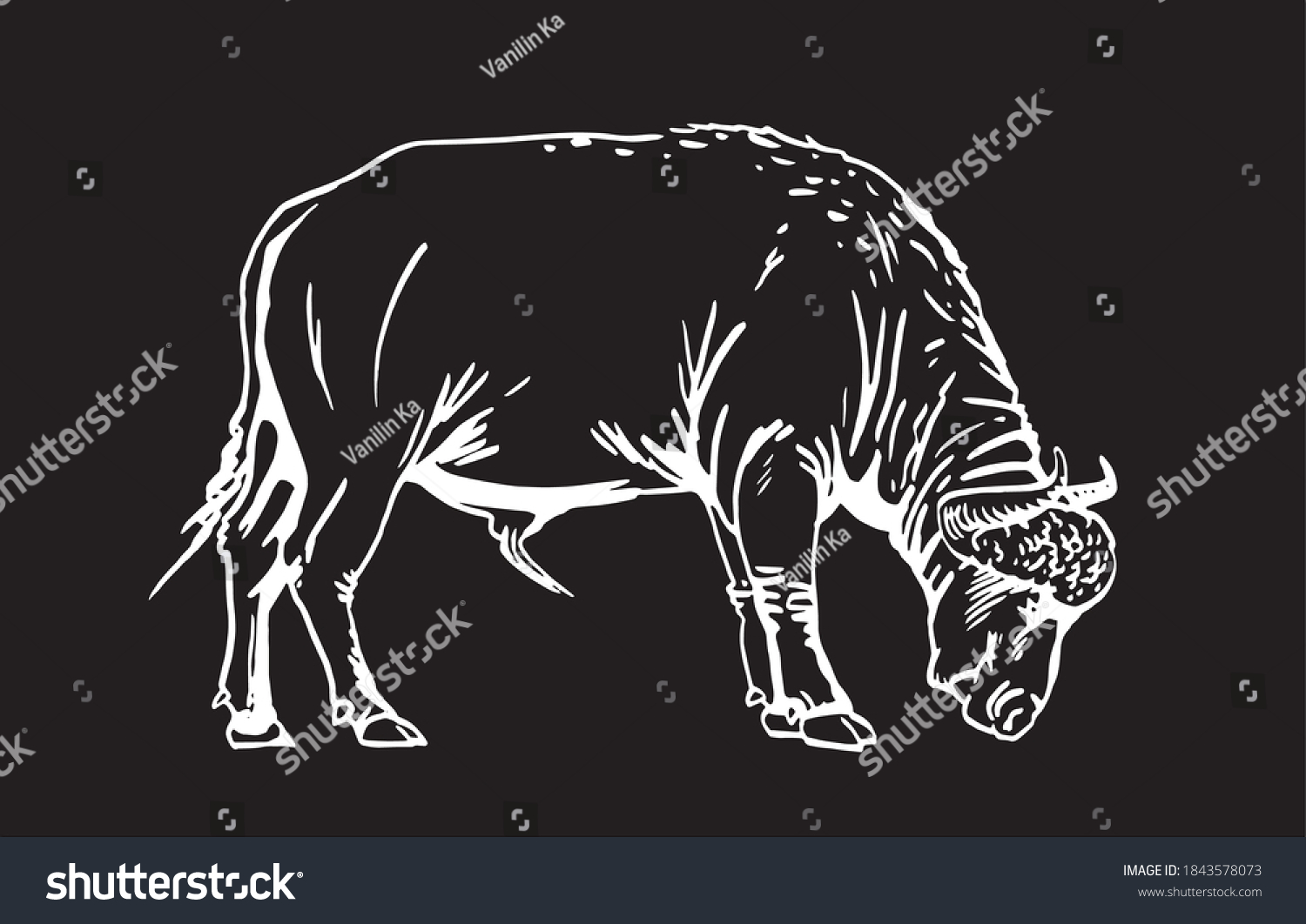 Graphical Buffalo Isolated On Black Background Stock Vector (Royalty ...