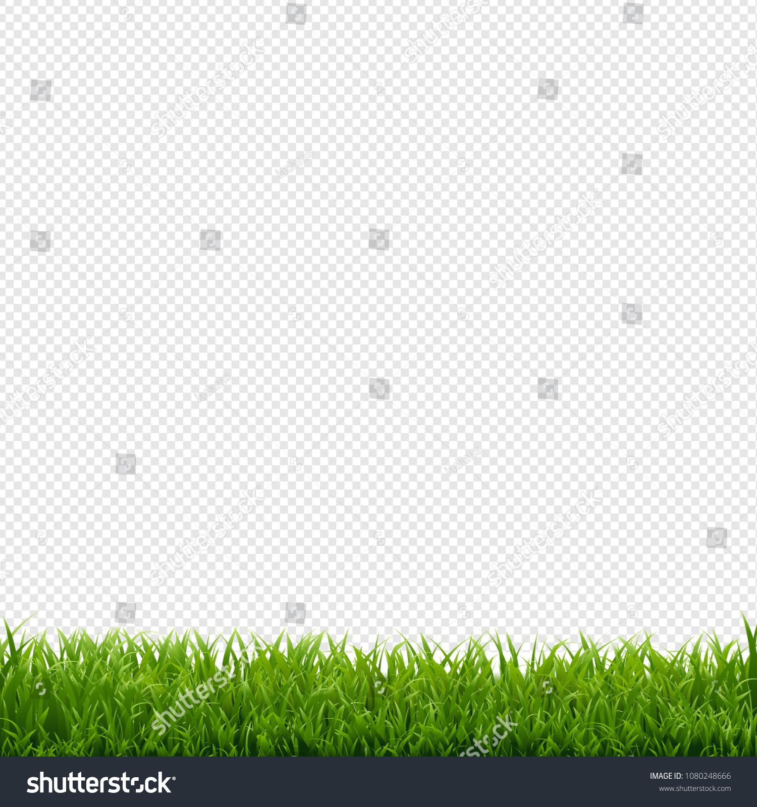 Grass Border Transparent Background Gradient Mesh Stock Vector (Royalty ...