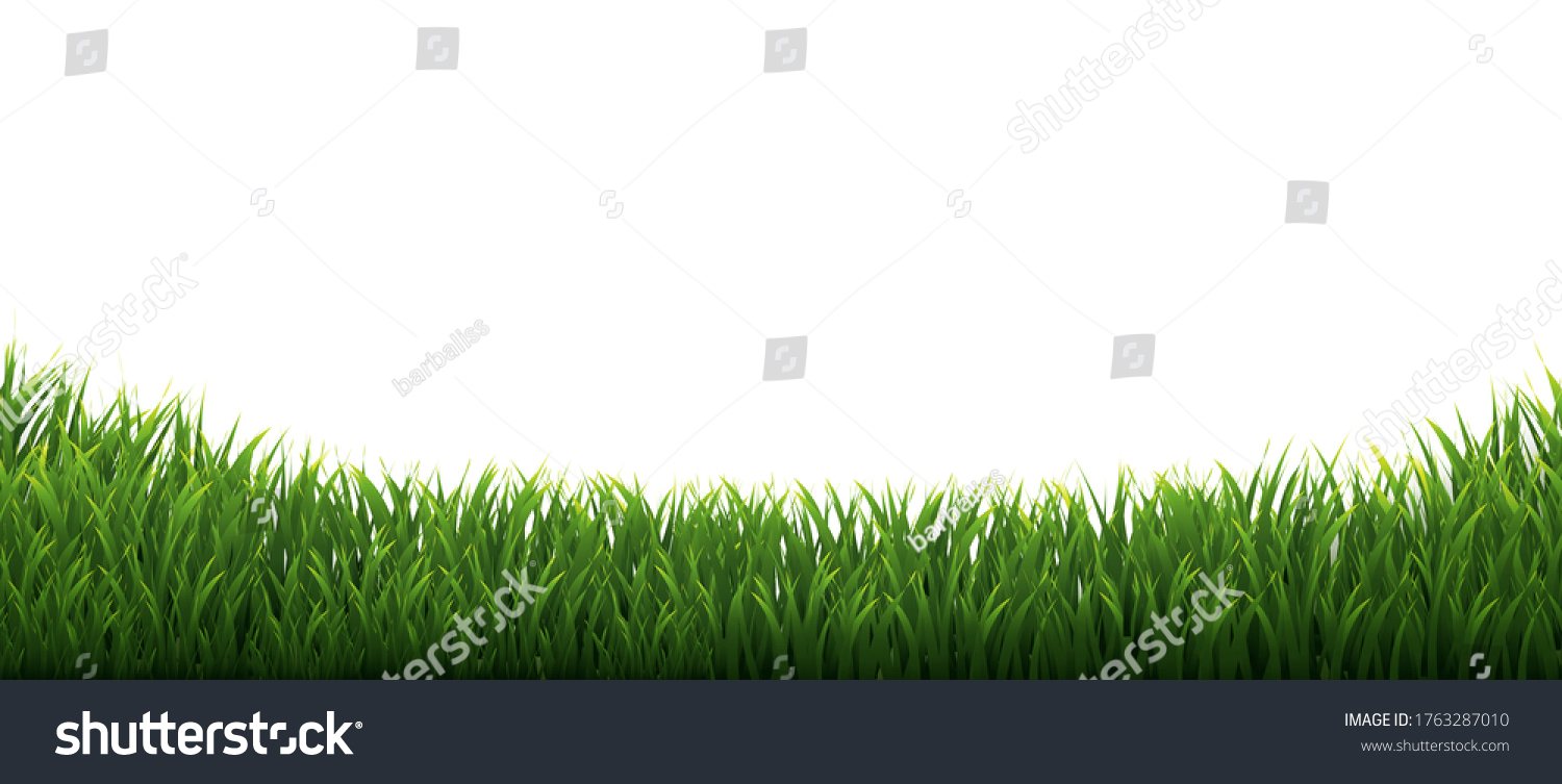 Grass Frames Set Isolated White Background Stock Vector (Royalty Free ...