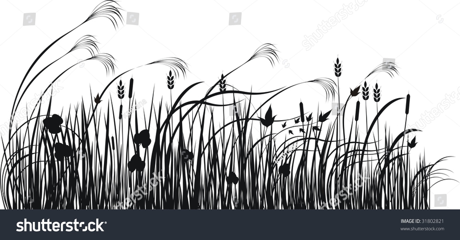 Grass Vector Silhouette Stock Vector (Royalty Free) 31802821