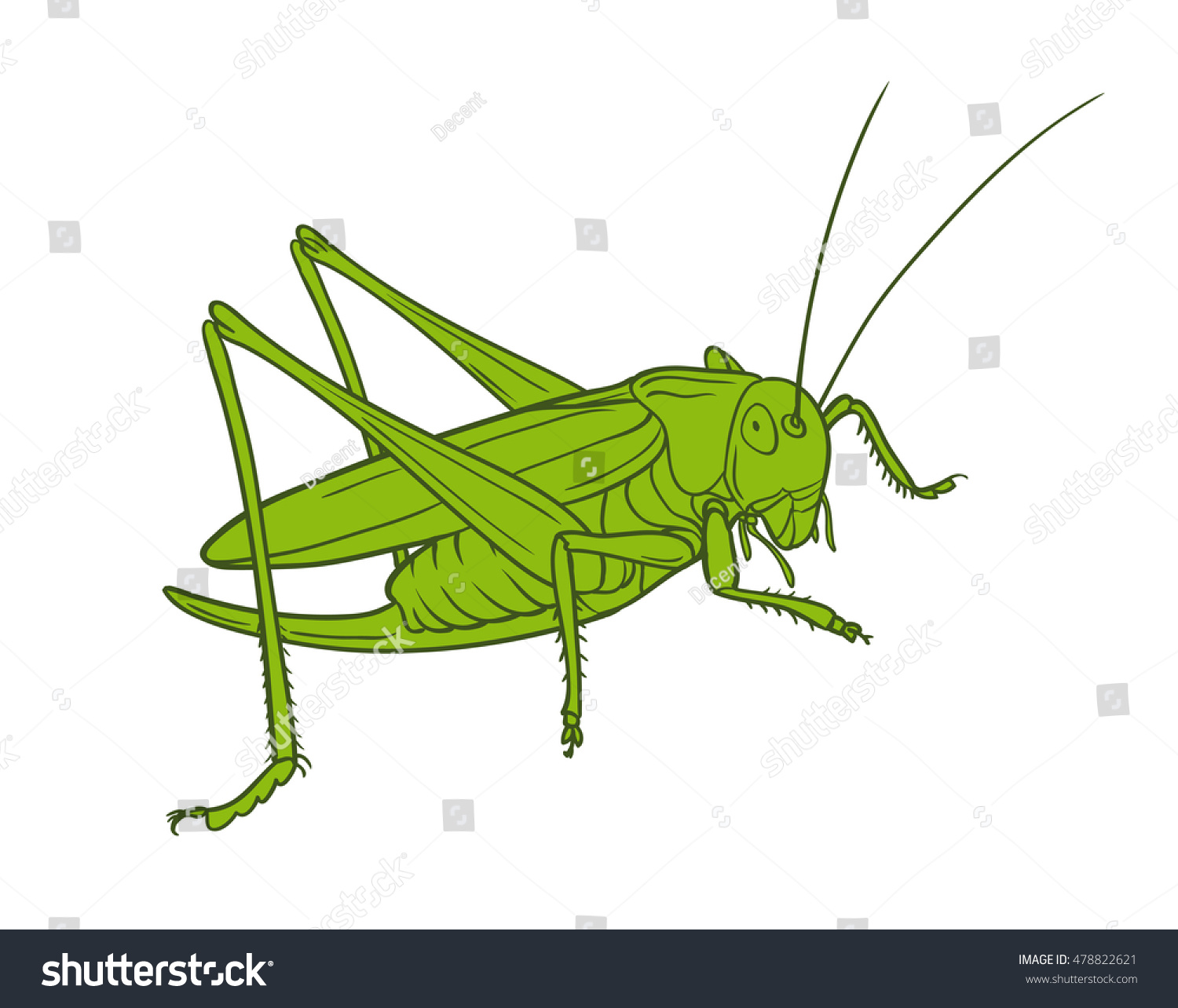 Grasshopper Graphic Vector 库存矢量图（免版税）478822621 | Shutterstock
