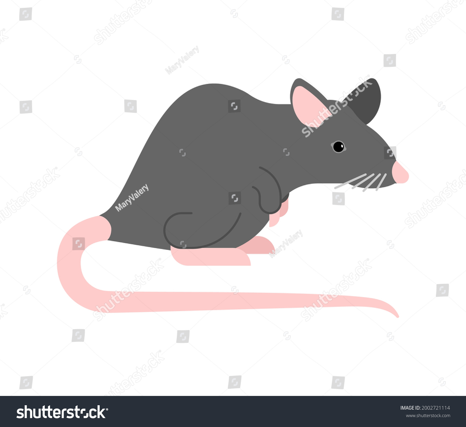 Gray Mouse Isolated Grey Mice Vector Stock Vector (Royalty Free ...