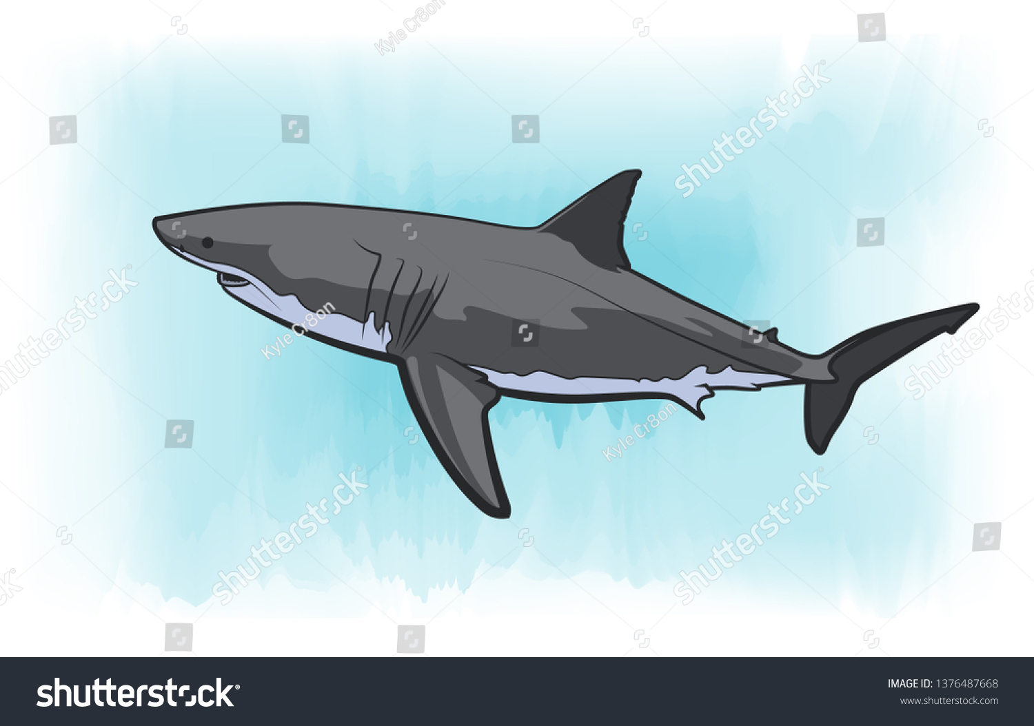Great White Shark Vector Illustration: เวกเตอร์สต็อก (ปลอดค่าลิขสิทธิ์ ...