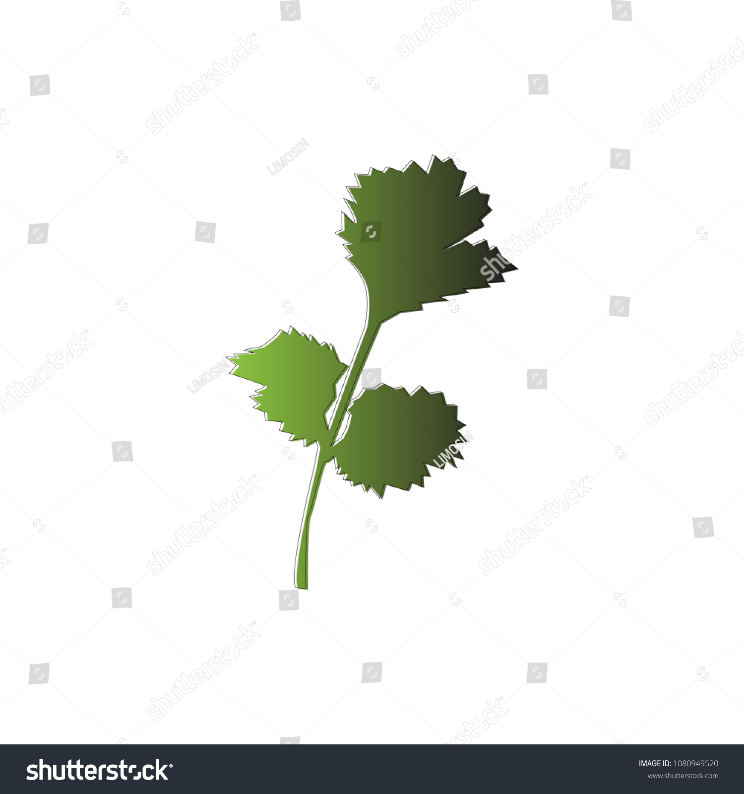 Green Celery Vector Logo Stock Vector (Royalty Free) 1080949520 ...