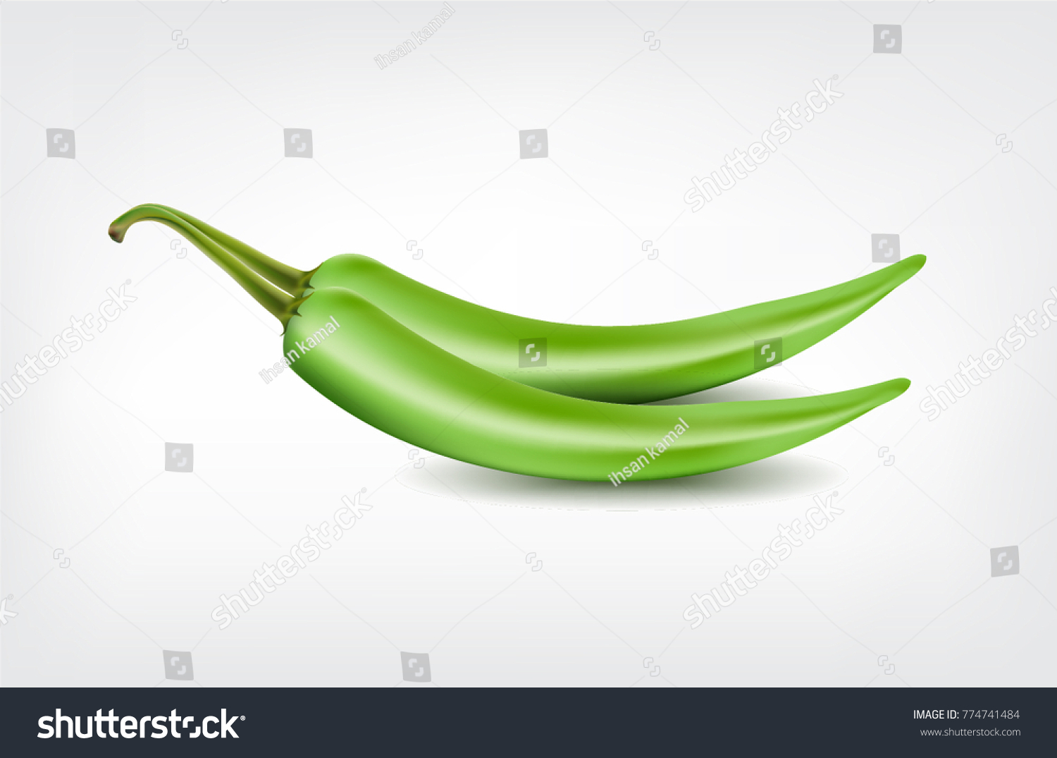 Green Chillies Vector Stock Vector (Royalty Free) 774741484