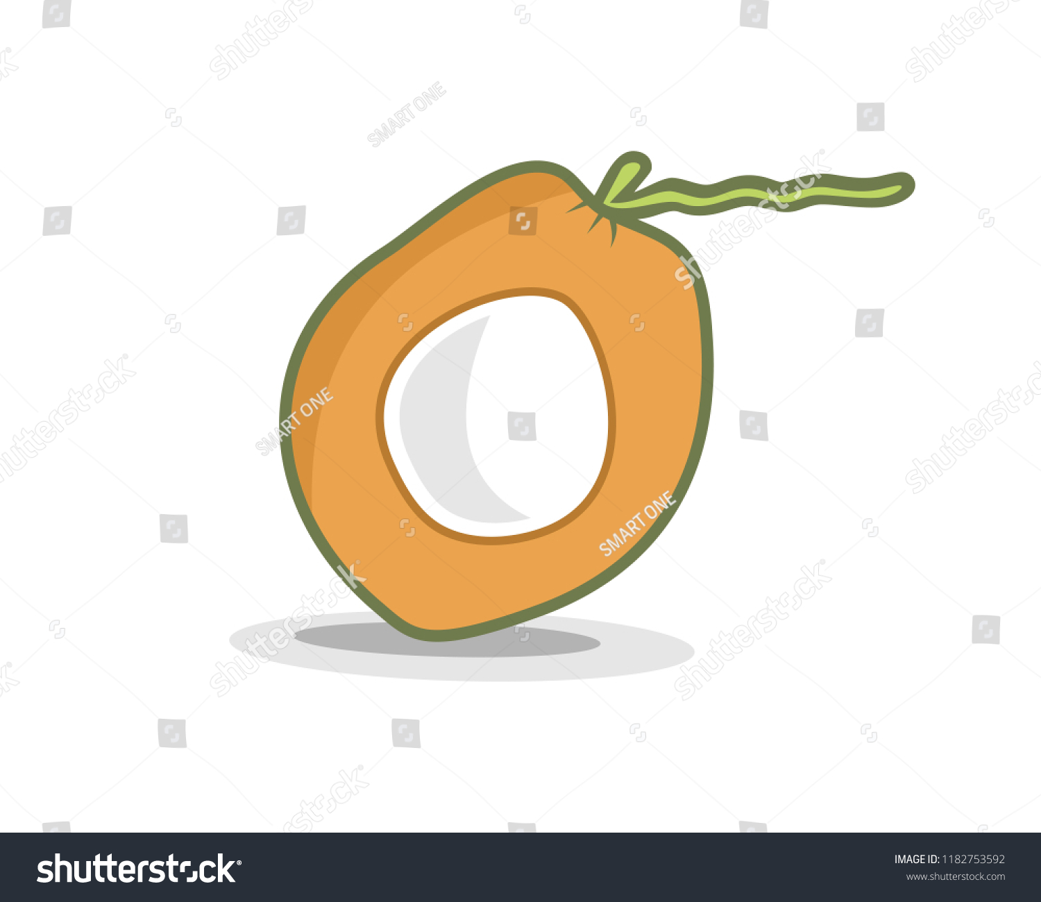 Green Coconut Template Vector Illustration Stock Vector (Royalty Free ...