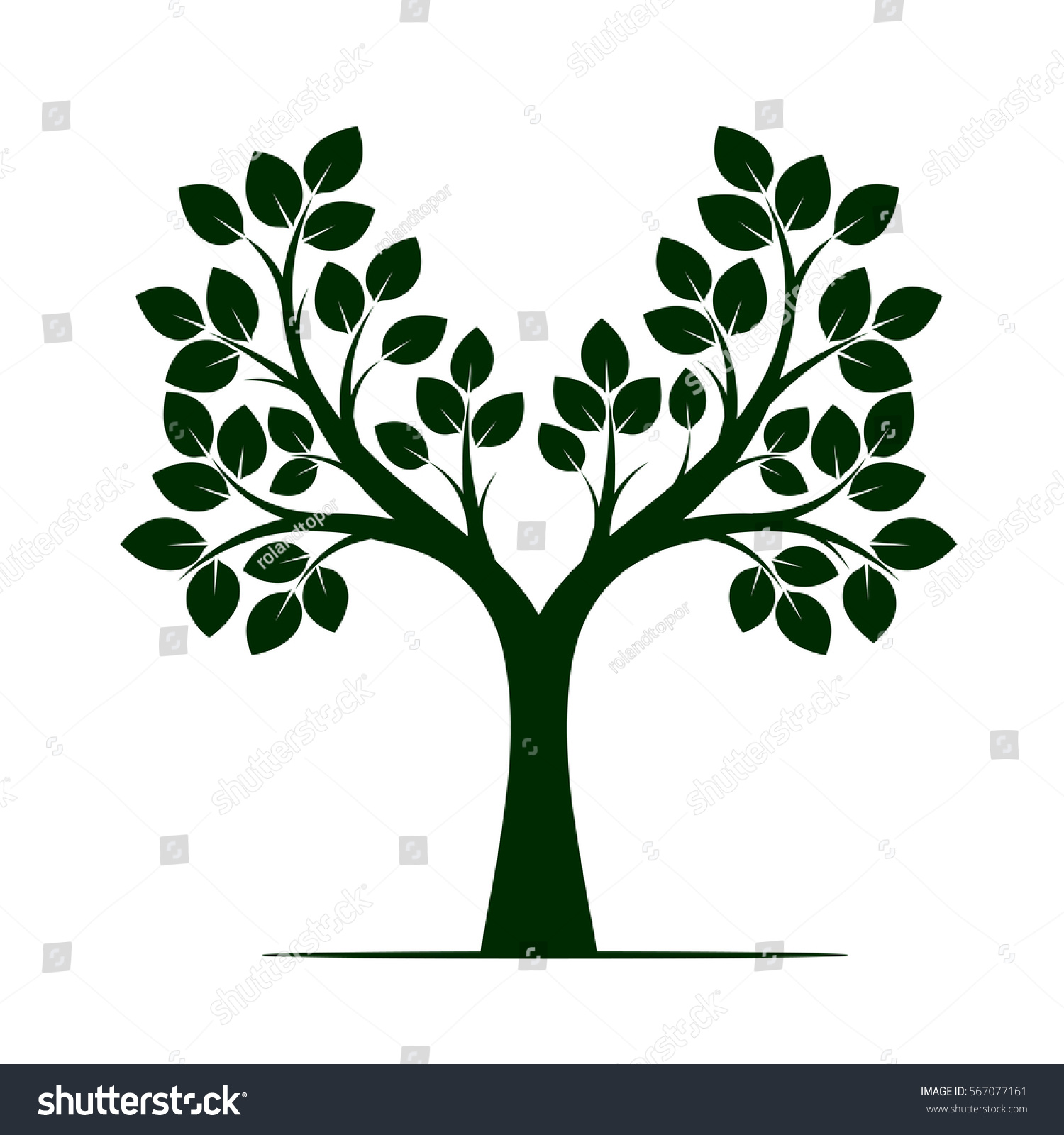 Green Color Tree Vector Illustration Stock Vector (Royalty Free) 567077161