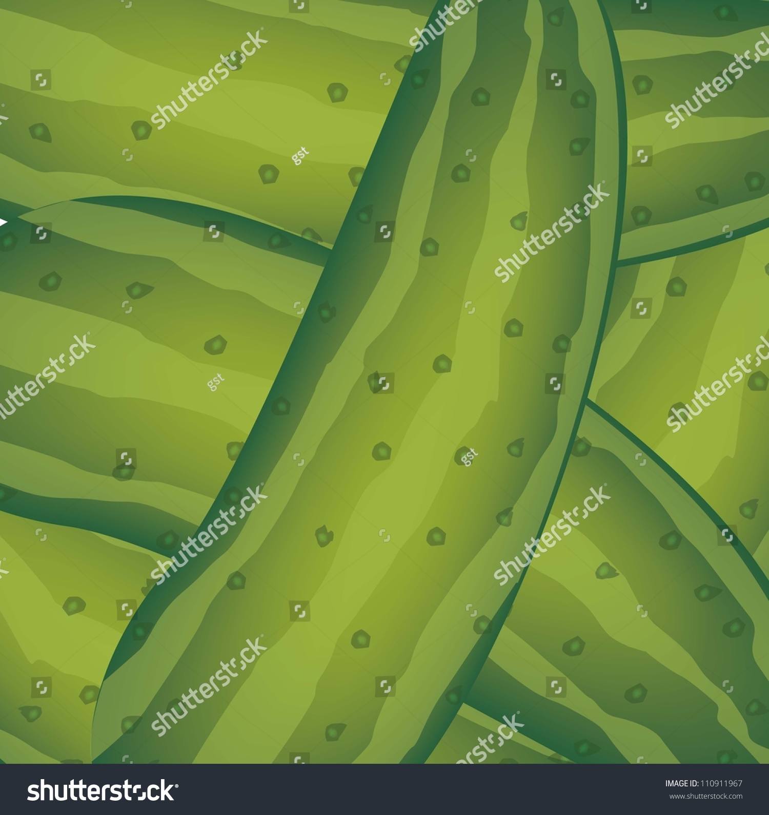 Green Cucumber Texture Background Vector Illustration Stock Vector ...