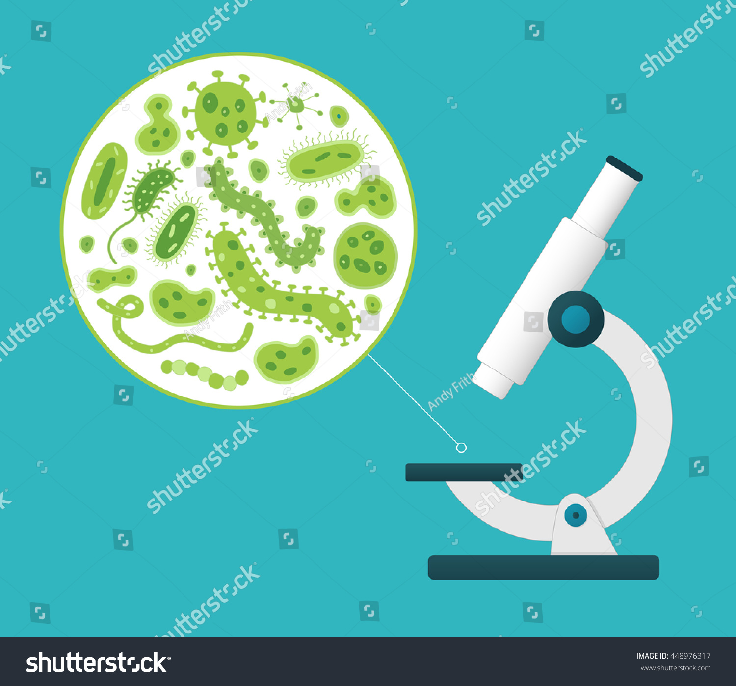 Green Germs Being Viewed By White Stock Vector (Royalty Free) 448976317 ...