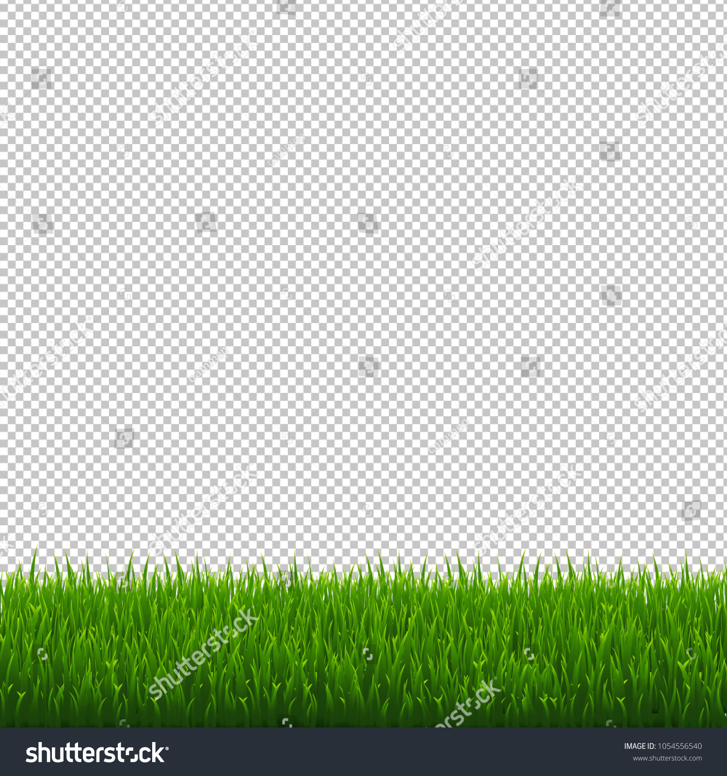Green Grass Border Transparent Background Vector Stock Vector (Royalty ...