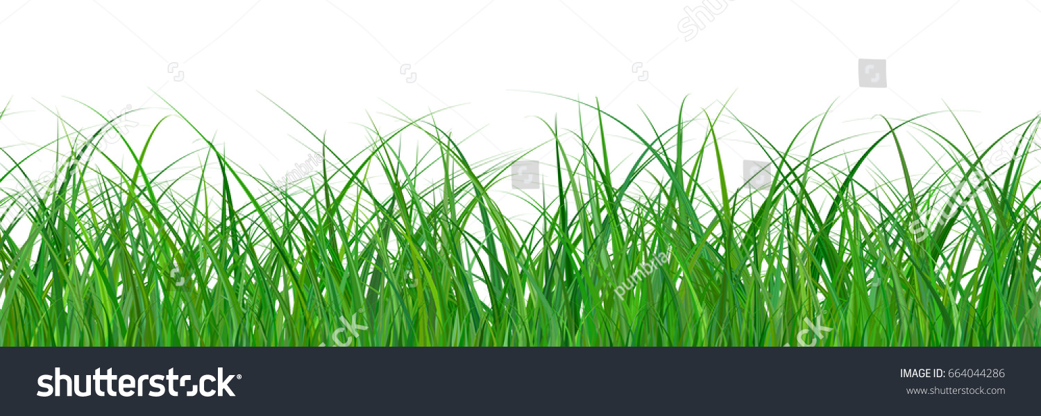 Green Grass Gradient Texture Isolated On Stock Vector (Royalty Free ...