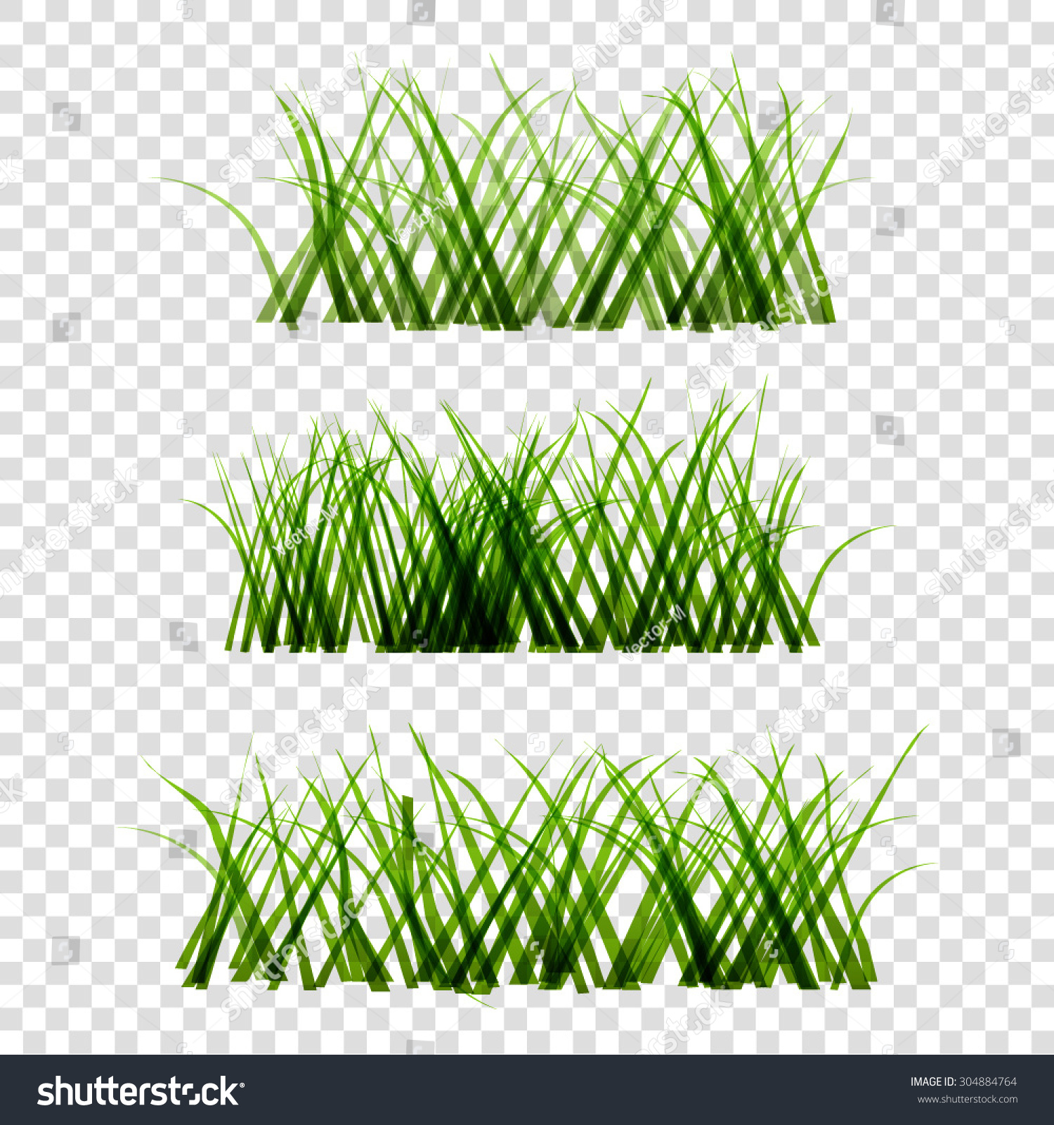 Green Grass On Isolated Transparent Background 스톡 벡터(로열티 프리) 304884764 ...