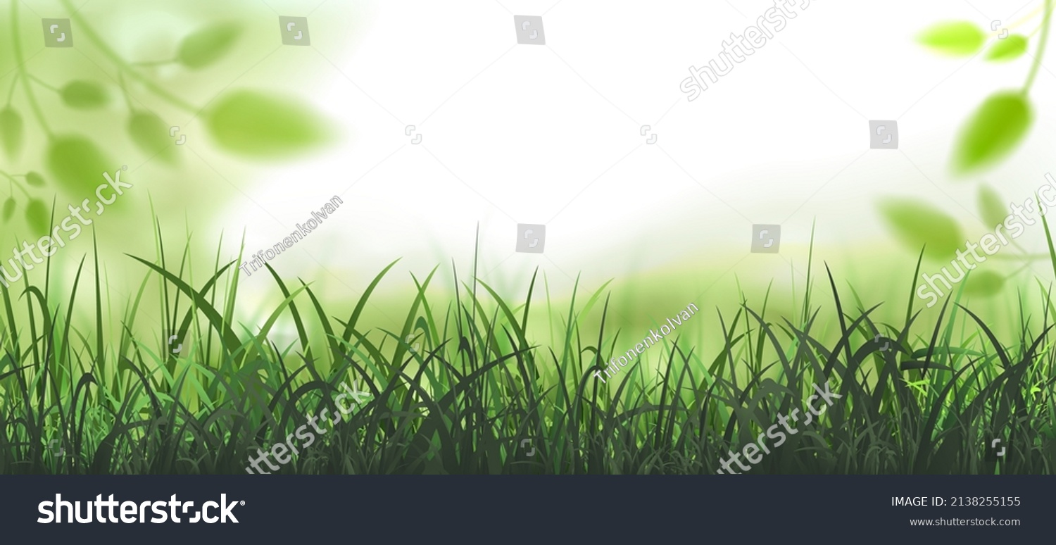 Green Grass Template Spring Nature Background Stock Vector (Royalty ...