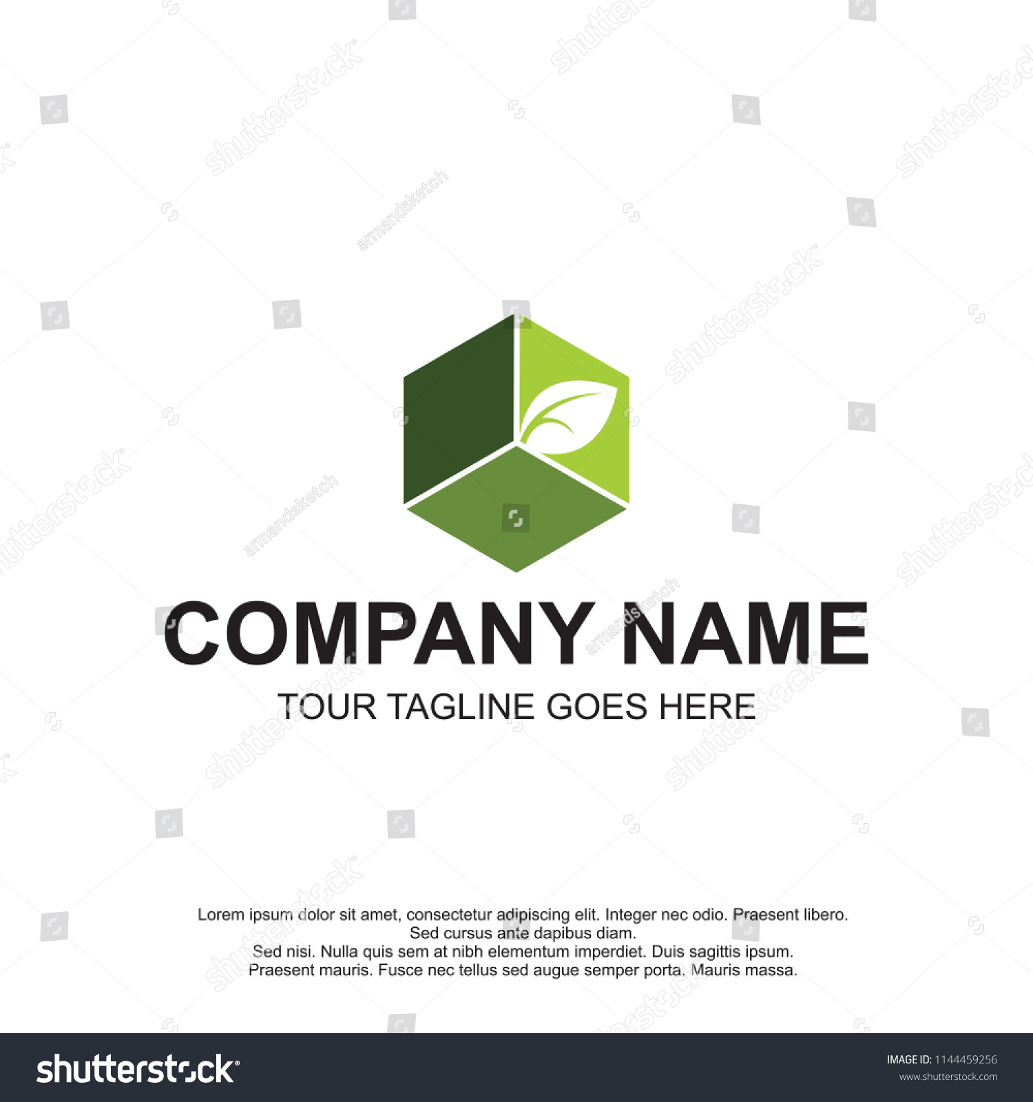 Green Leaf Box Logo Stock Vector (Royalty Free) 1144459256 | Shutterstock