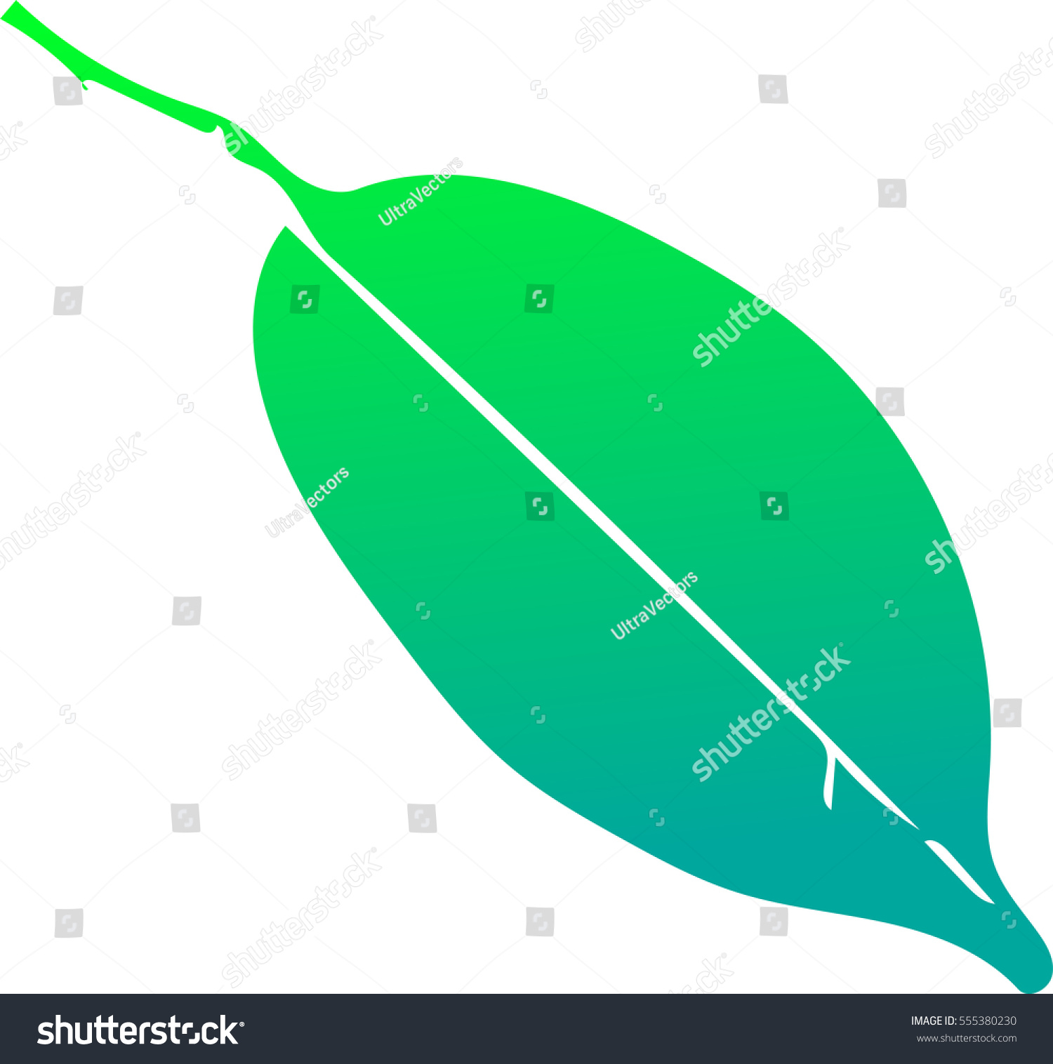 Green Leaf Vector Design Isolated On Stock Vector (Royalty Free) 555380230