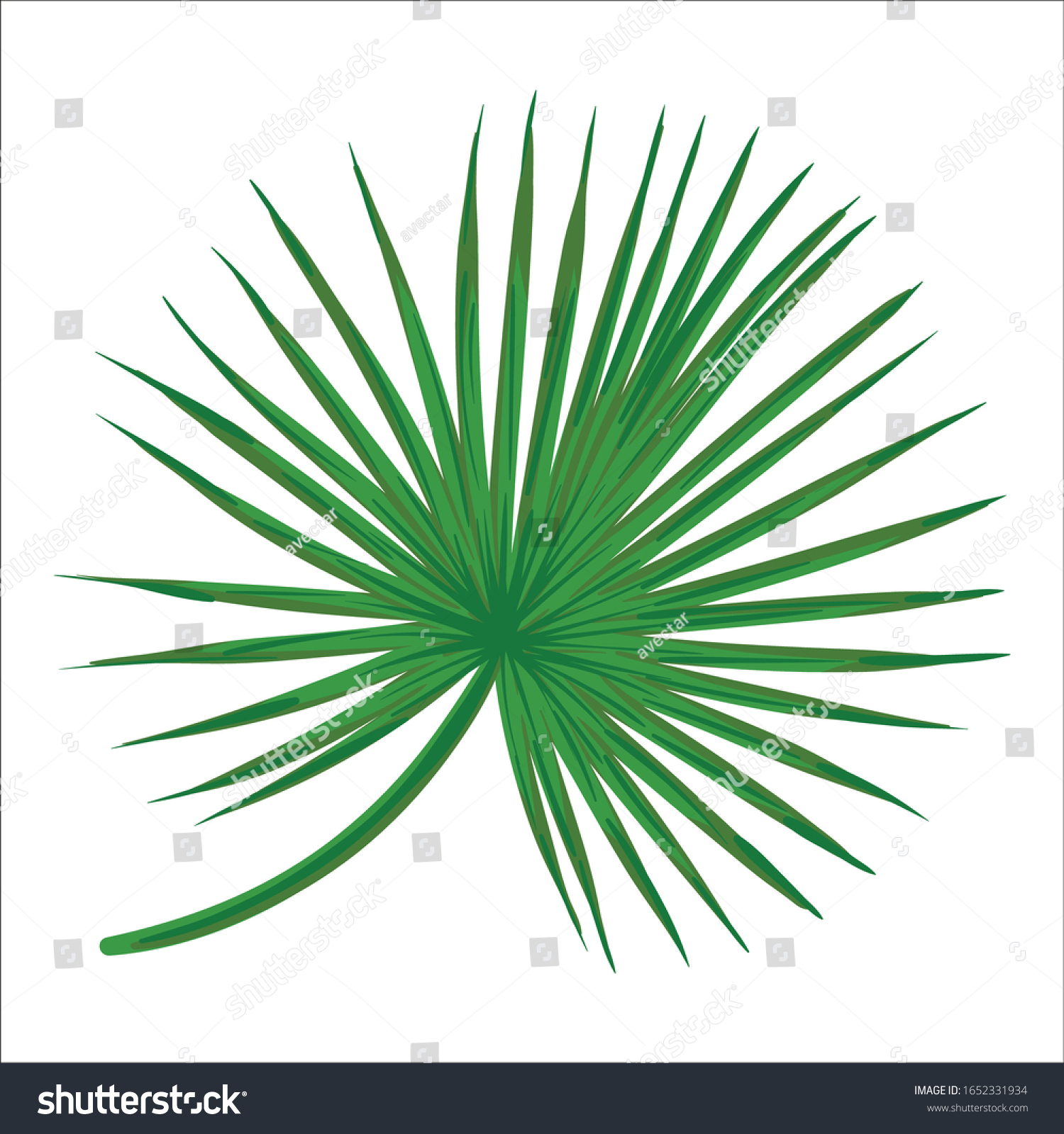 Green Leaf Vector Design Leaf Vector Stock Vector (Royalty Free ...