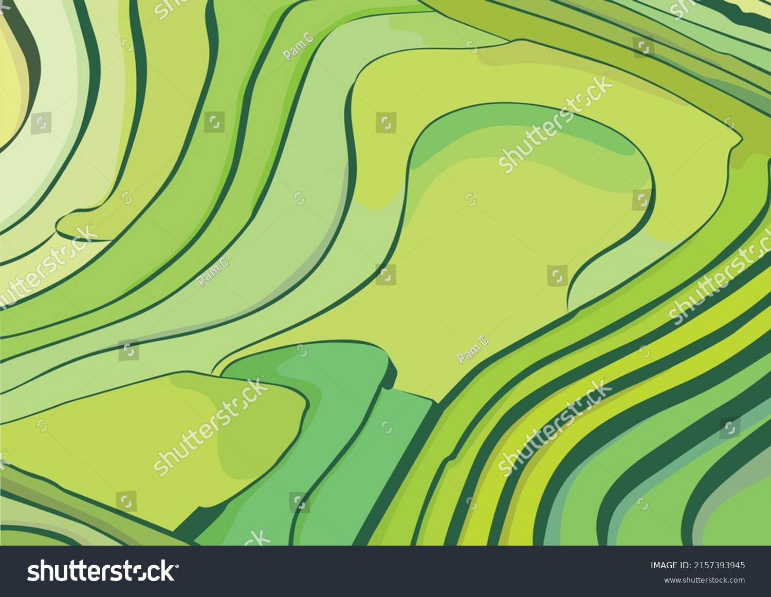 Green Paddy Field Vector Drawing Stock Vector (Royalty Free) 2157393945 ...