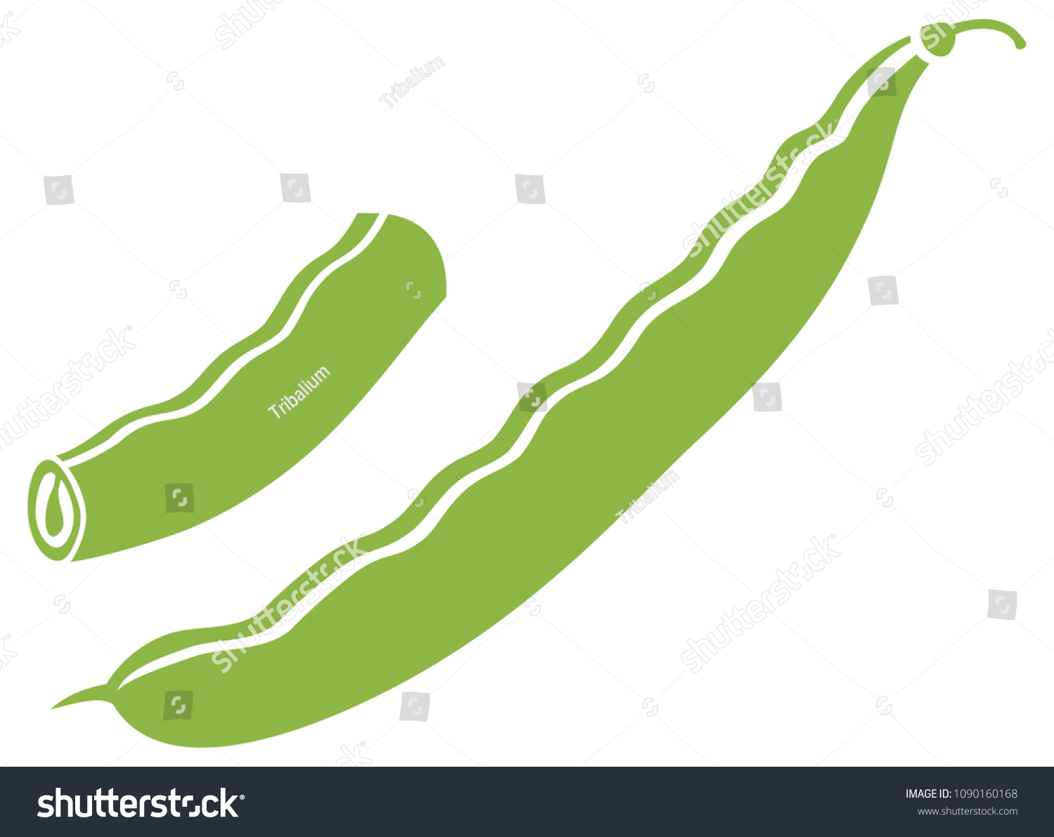 Green Peas Vector Icon Stock Vector (Royalty Free) 1090160168 ...