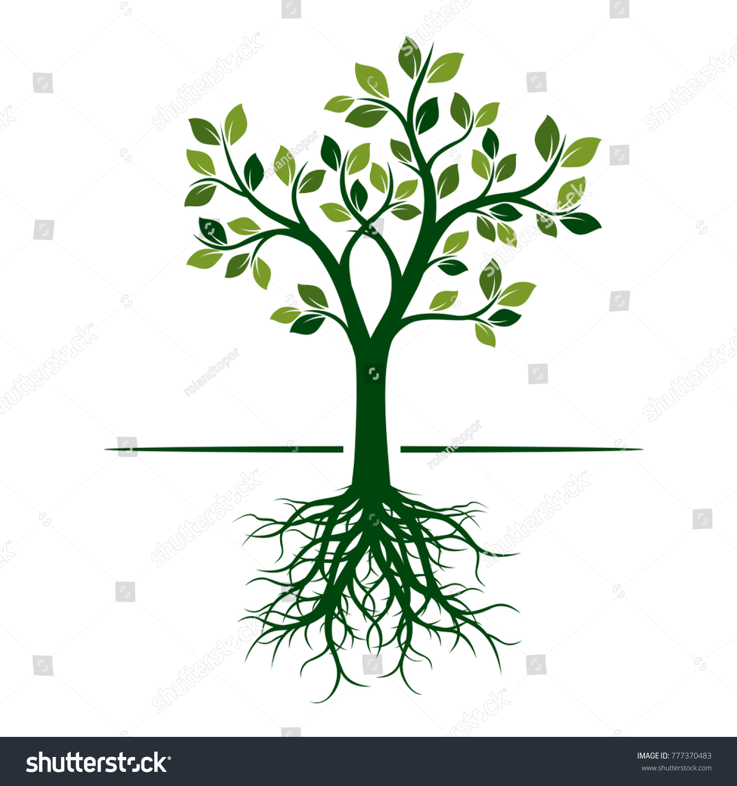 Green Spring Tree Roots Vector Illustration Stock Vector (Royalty Free ...