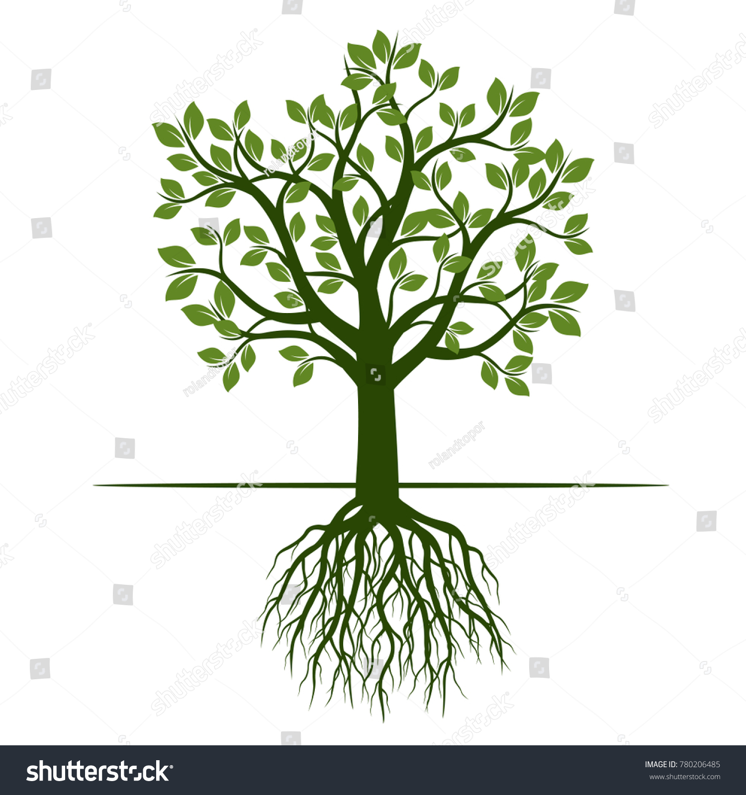 Green Spring Tree Roots Vector Illustration Stock Vector (Royalty Free ...