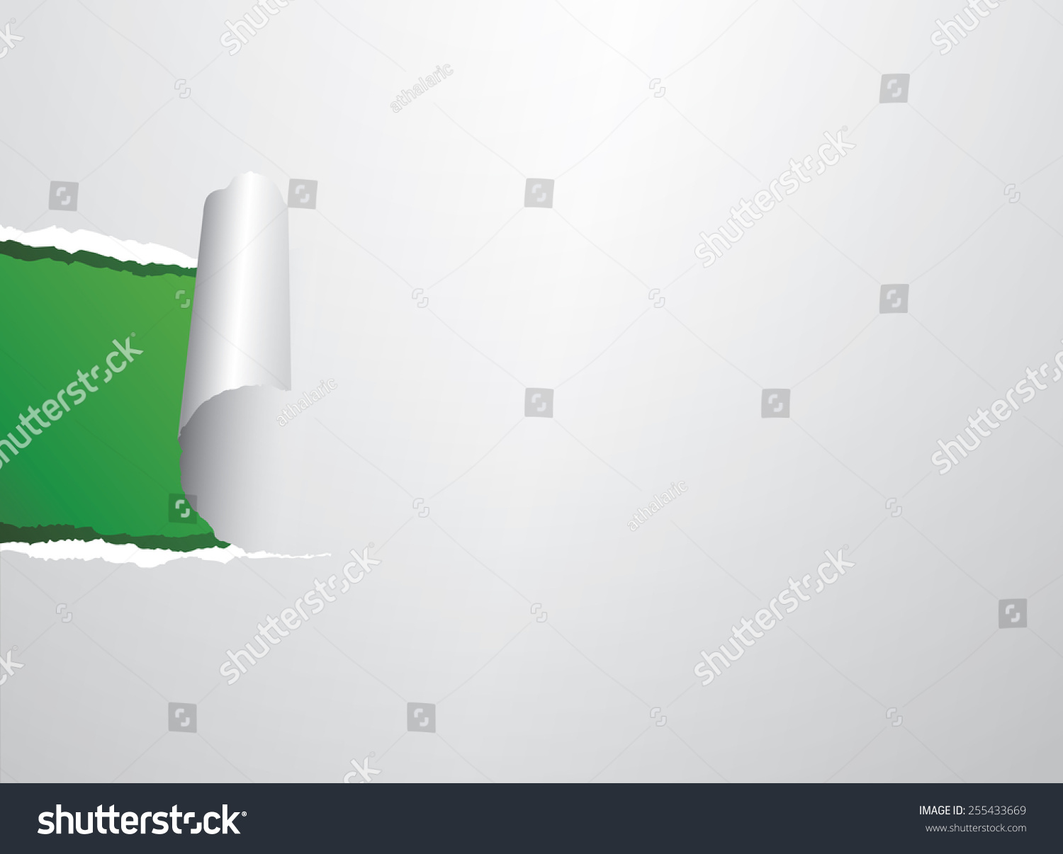 Green Torn Paper Beginning Stock Vector (Royalty Free) 255433669