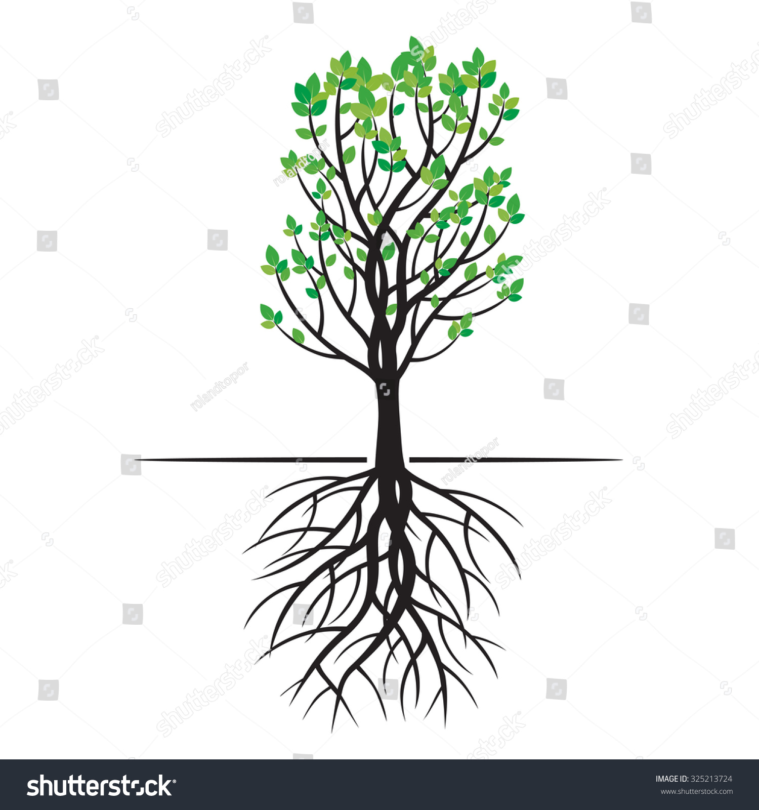 Green Tree Roots Vector Illustration Stock Vector (Royalty Free ...