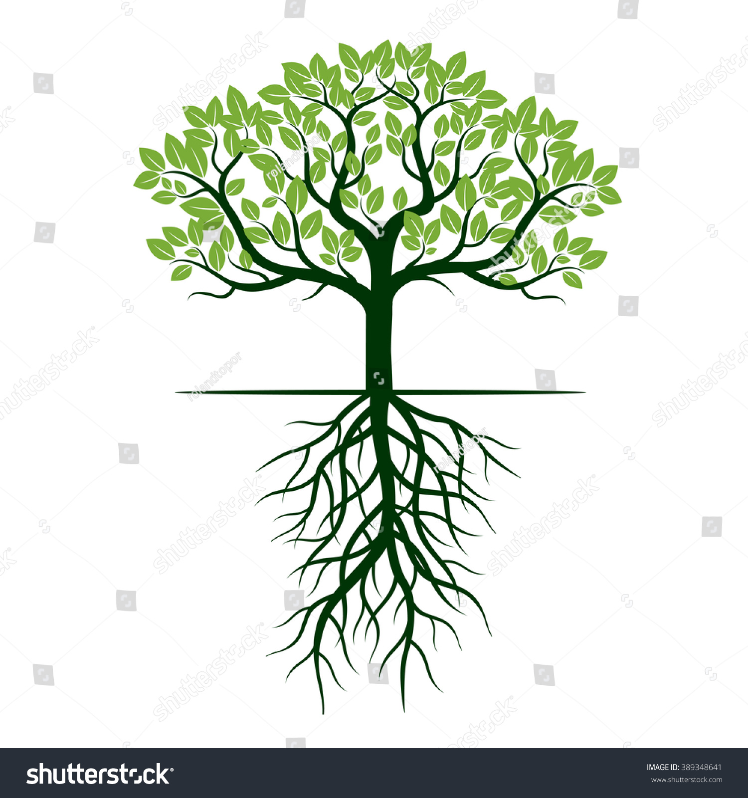 Green Tree Roots Vector Illustration Stock Vector (Royalty Free ...