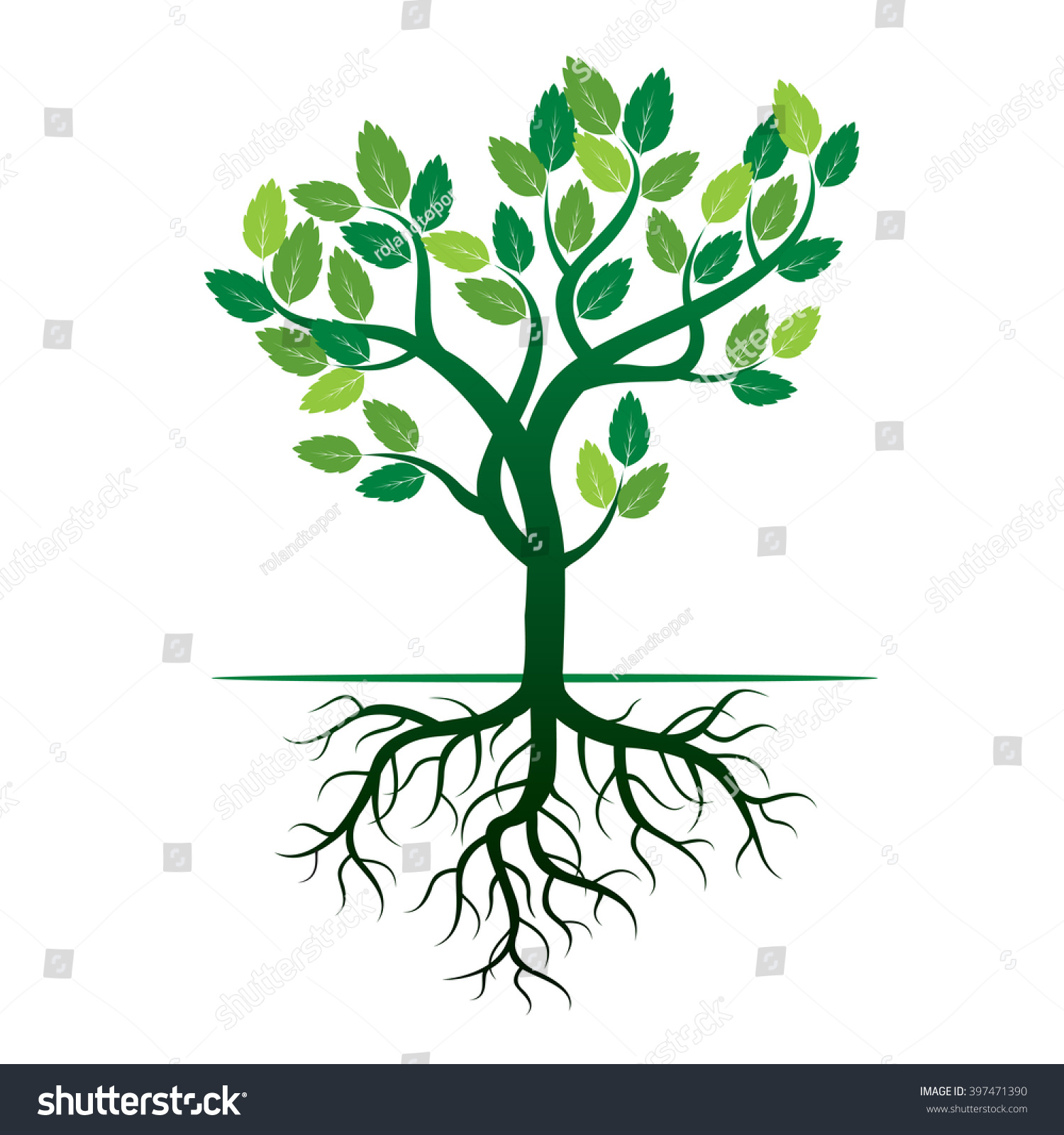 Green Tree Roots Vector Illustration Stock Vector (Royalty Free) 397471390