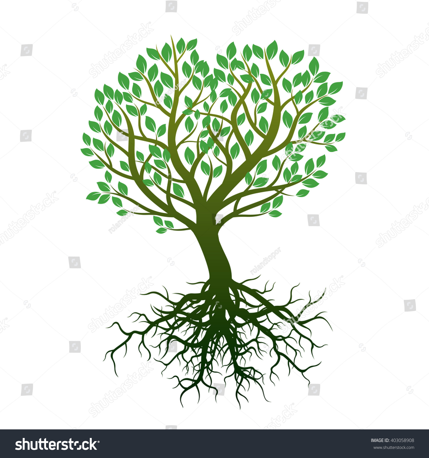 Green Tree Roots Vector Illustration: vector de stock (libre de ...