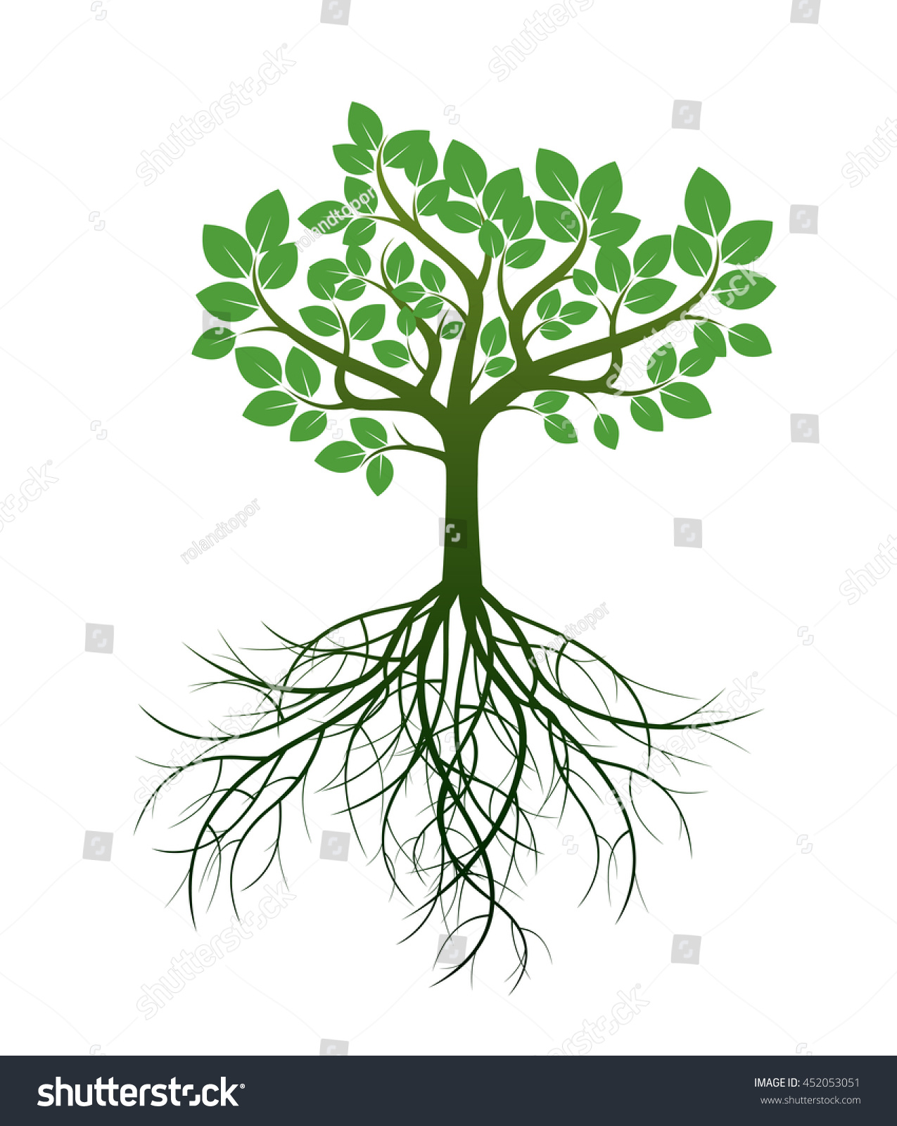 Green Tree Roots Vector Illustration 스톡 벡터(로열티 프리) 452053051 | Shutterstock