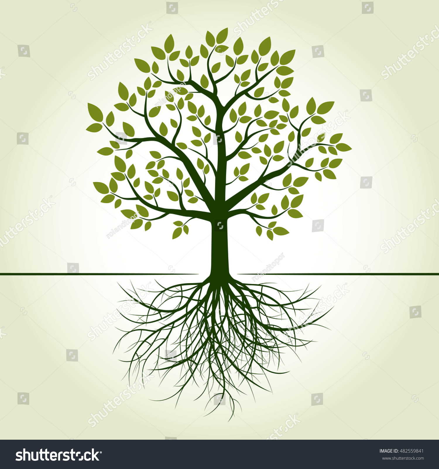 Green Tree Roots Vector Illustration: vector de stock (libre de ...
