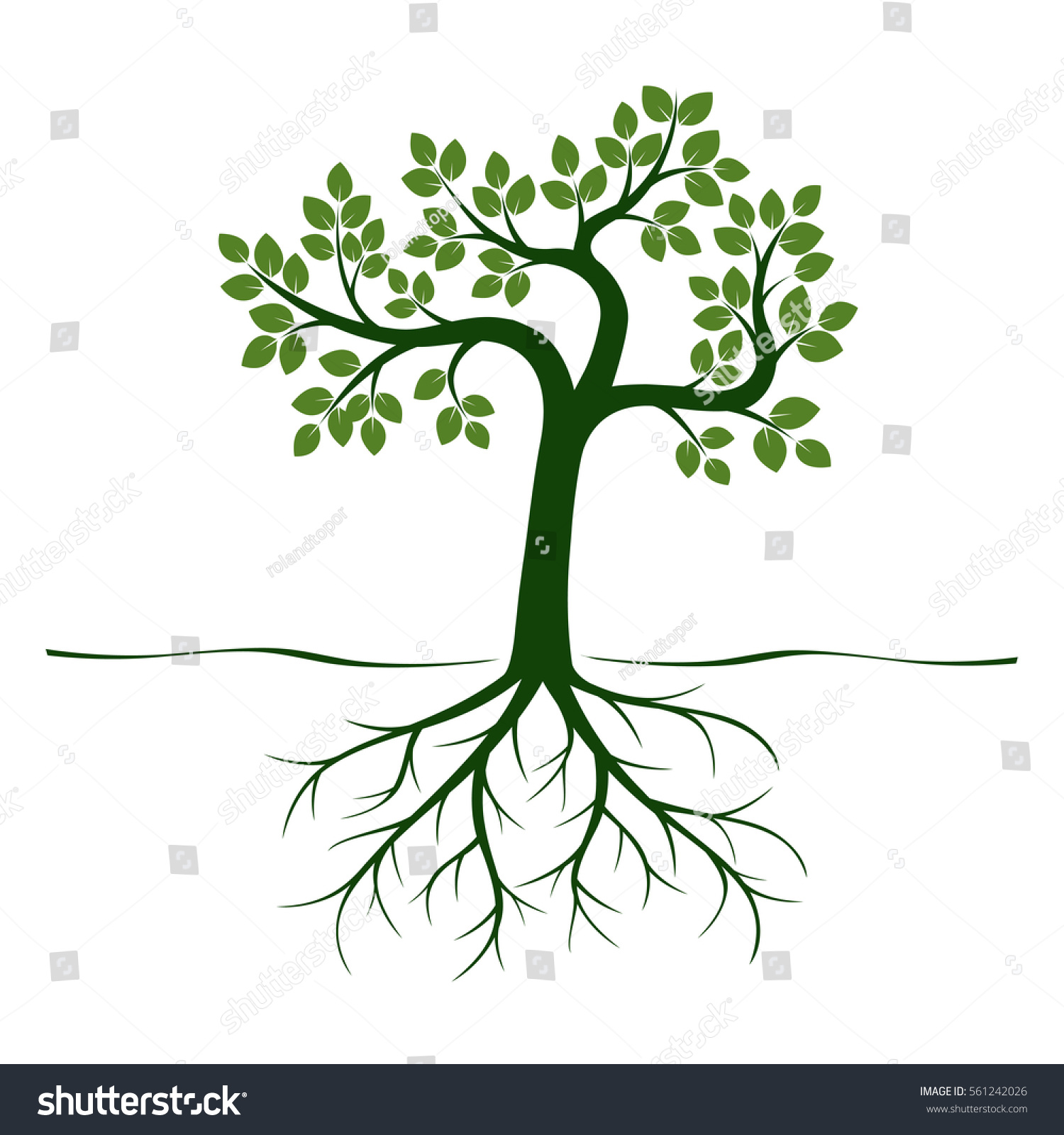 Green Tree Roots Vector Illustration: vector de stock (libre de ...