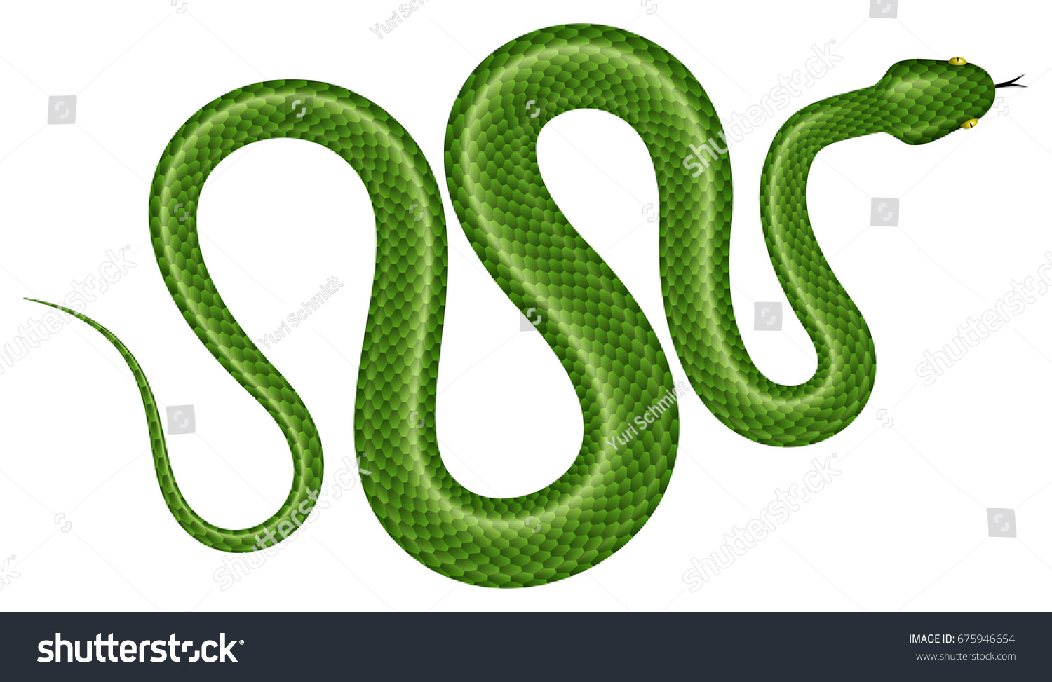 9 Green mamba pictures Images, Stock Photos & Vectors | Shutterstock
