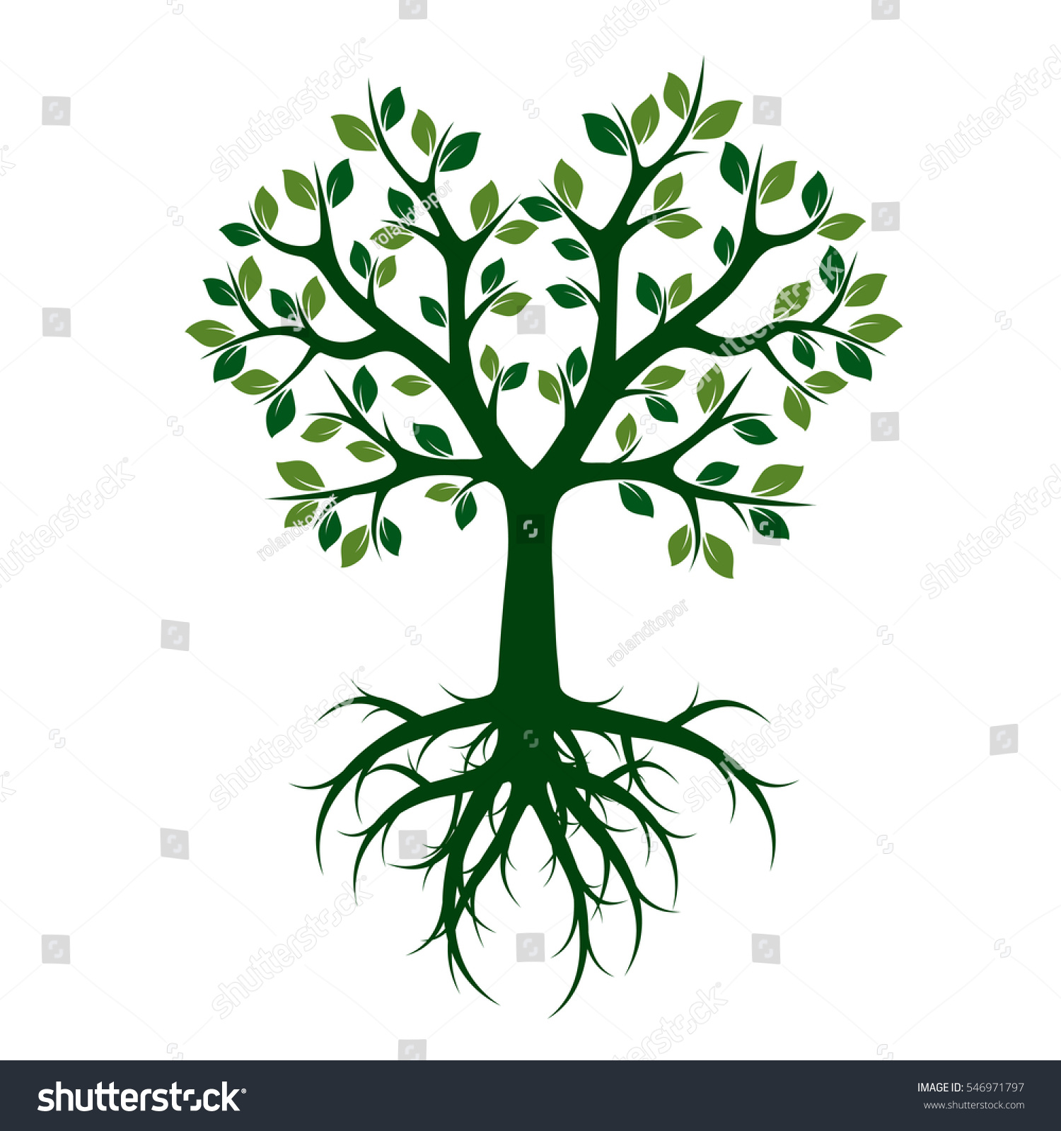 Green Tree Roots Vector Illustration Stock Vector 546971797 - Shutterstock